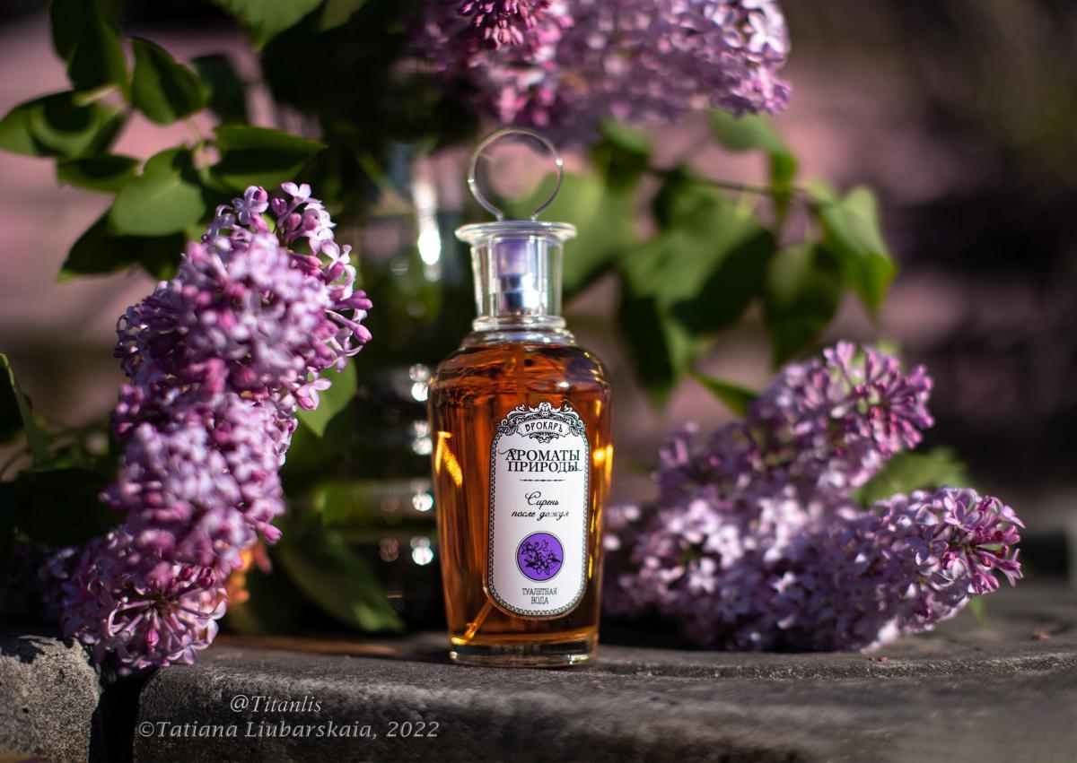 Сирень после дождя - Lilac After The Rain Brocard аромат — аромат для ...