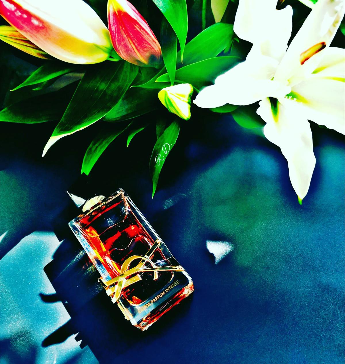 Libre Intense Yves Saint Laurent perfume - a new fragrance for women 2020