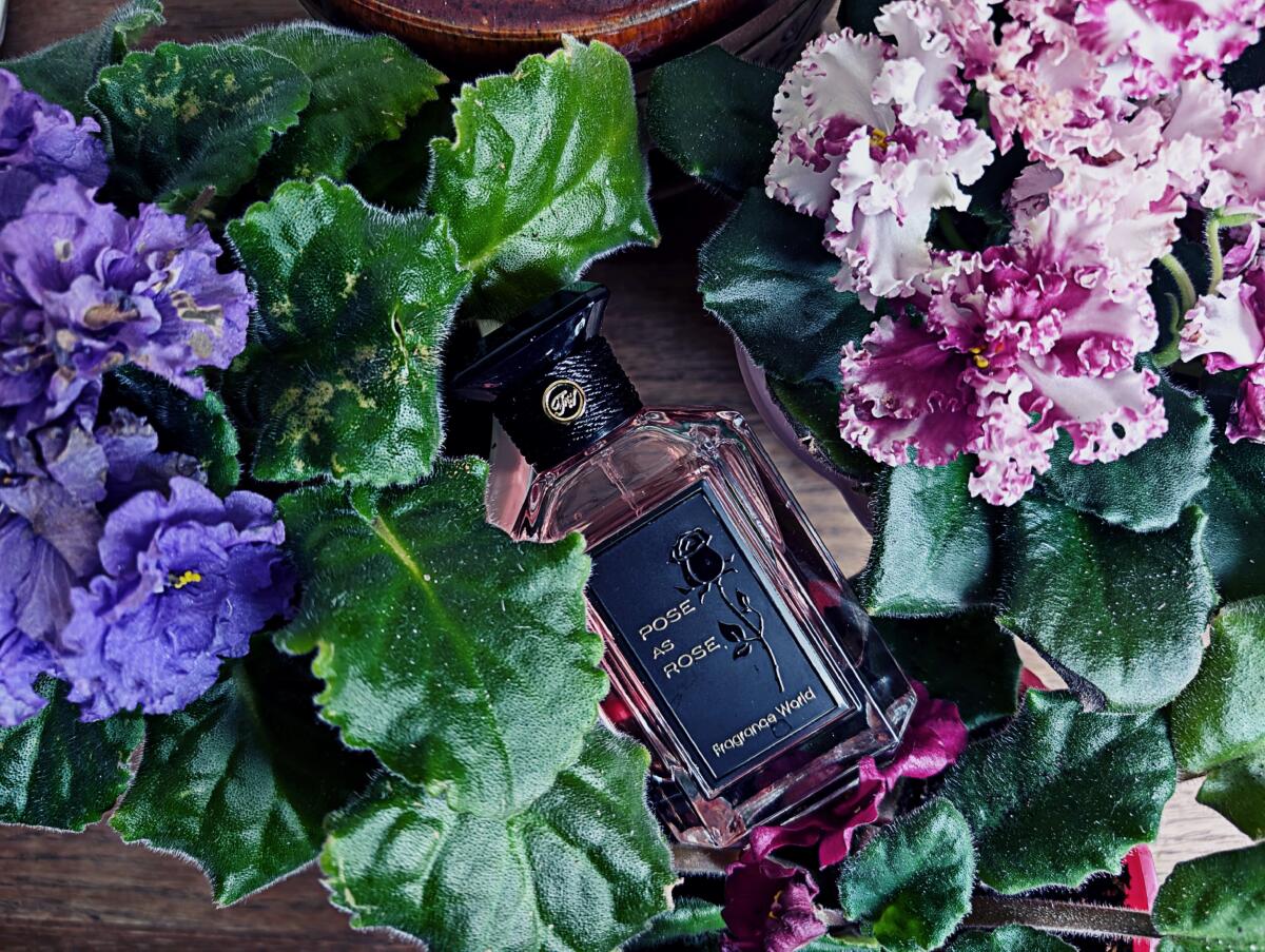 Pose As Rose Fragrance World perfume - a fragrance for women and men 2023