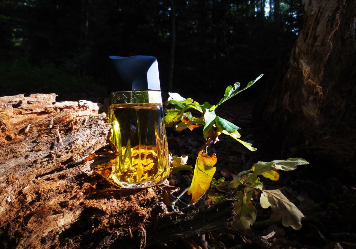 Knowing Estée Lauder perfume - a fragrance for women 1988