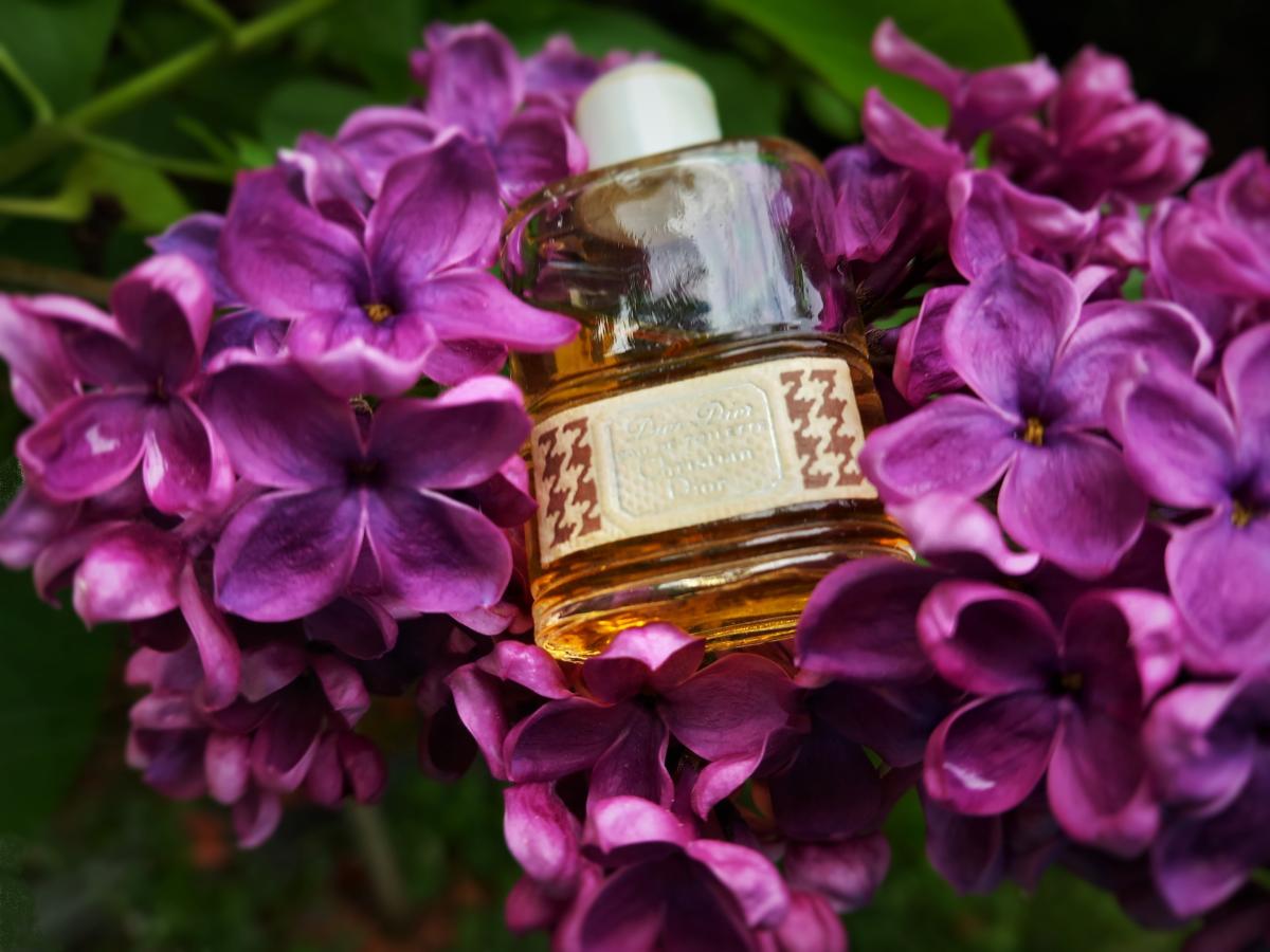 Dior Dior Dior perfume - a fragrance for women 1976