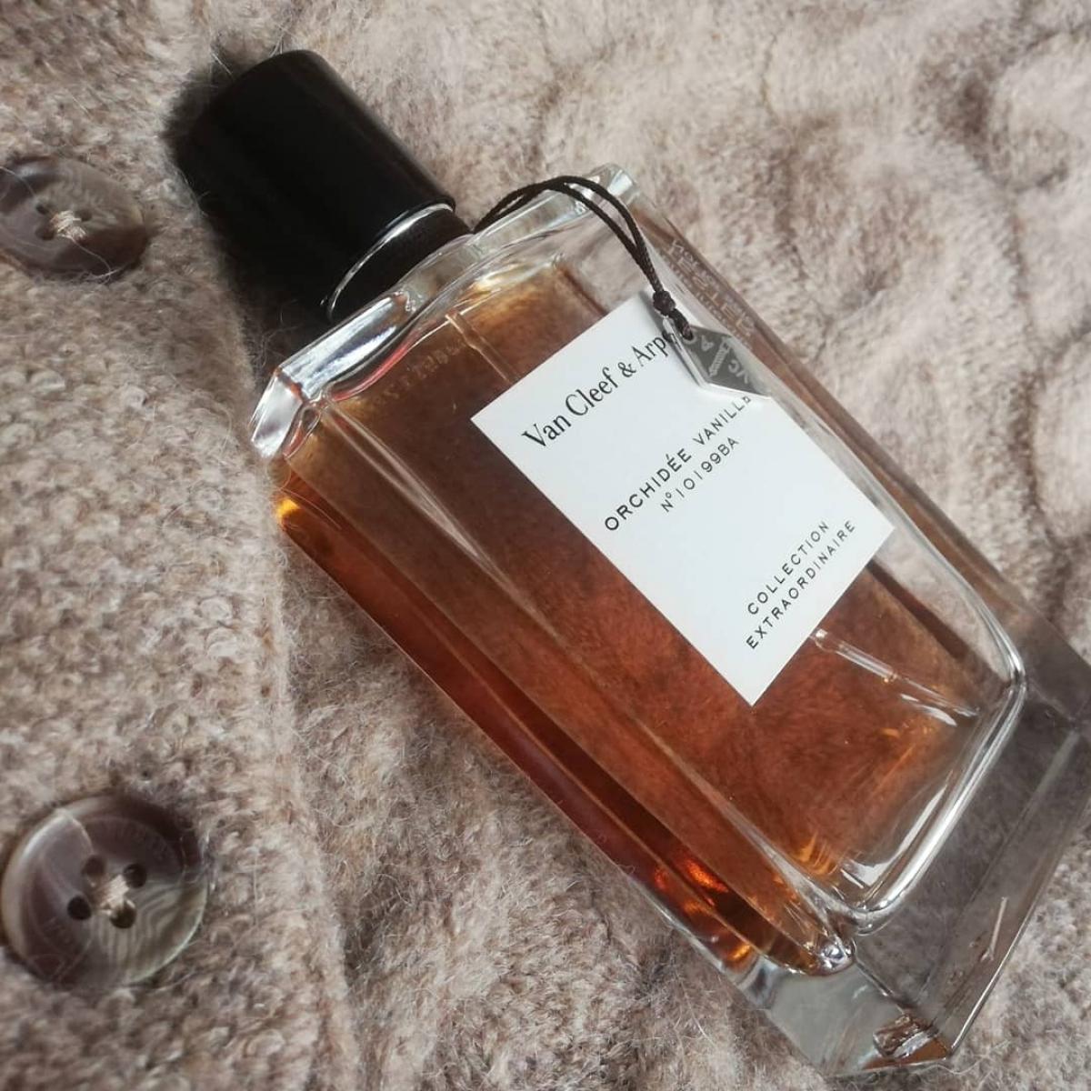 Orchidee Vanille Van Cleef & Arpels perfume - a fragrance for women 2009