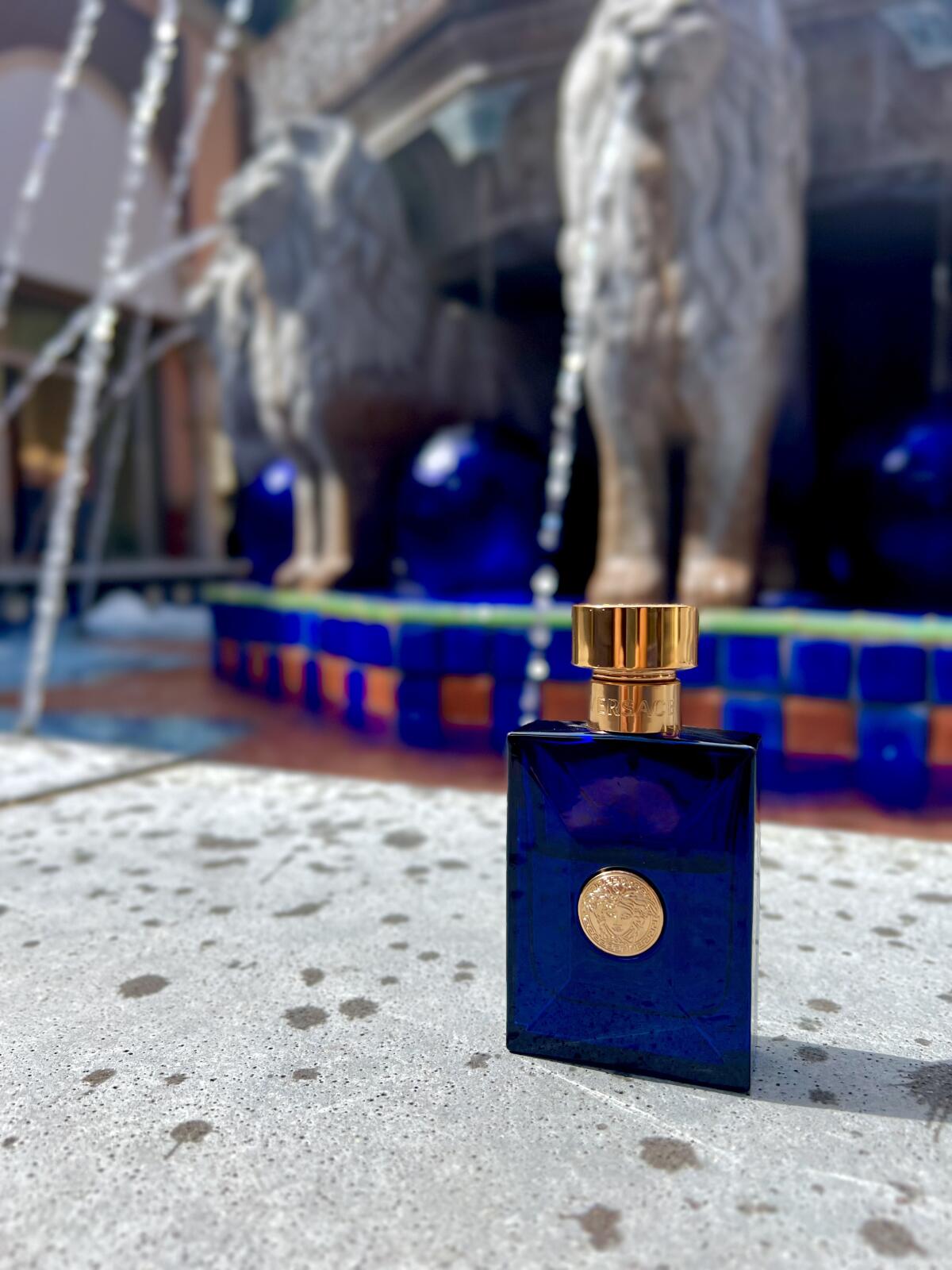 Versace Pour Homme Dylan Blue Versace cologne - a fragrance for men 2016