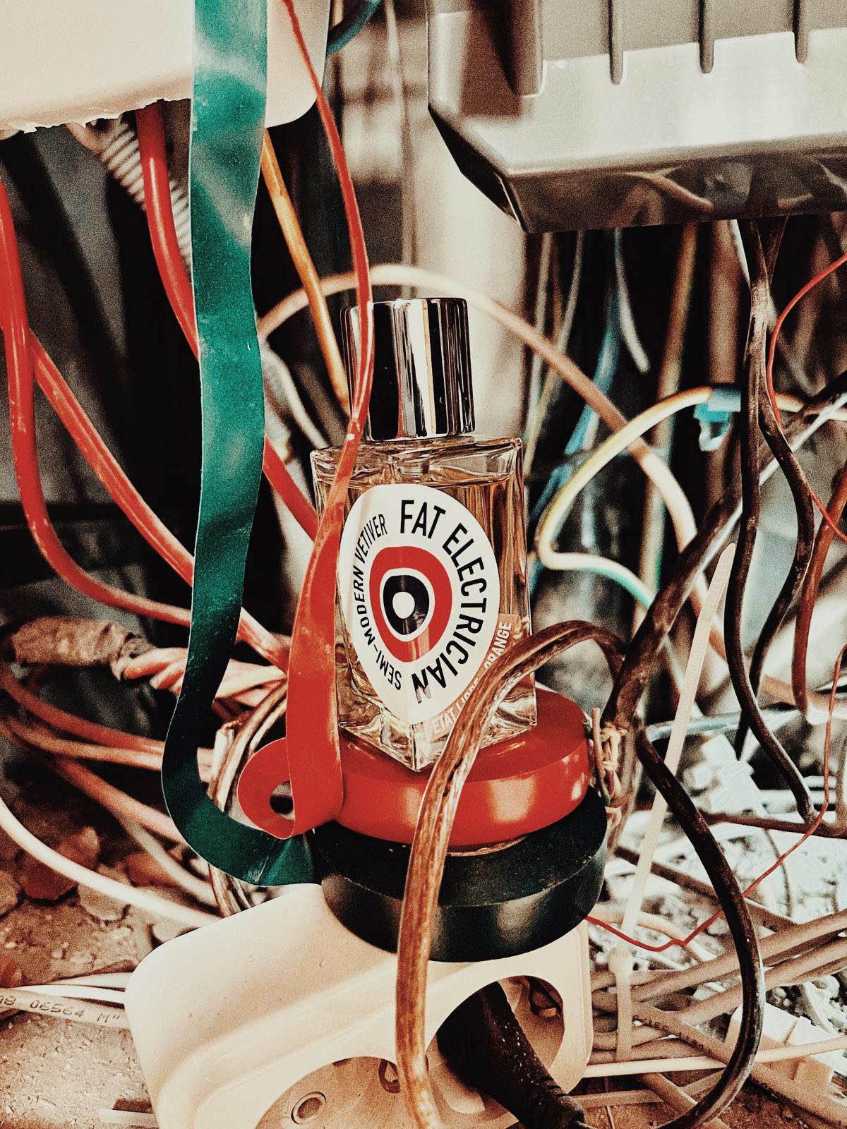 Fat Electrician Semi-Modern Vetiver Etat Libre d'Orange cologne - a ...