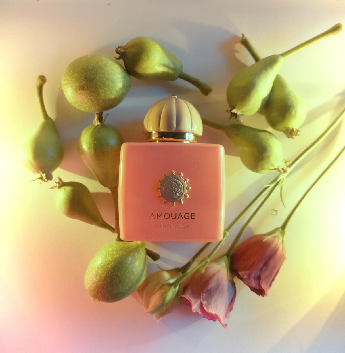 Guidance Amouage perfume - a new fragrance for women and men 2023