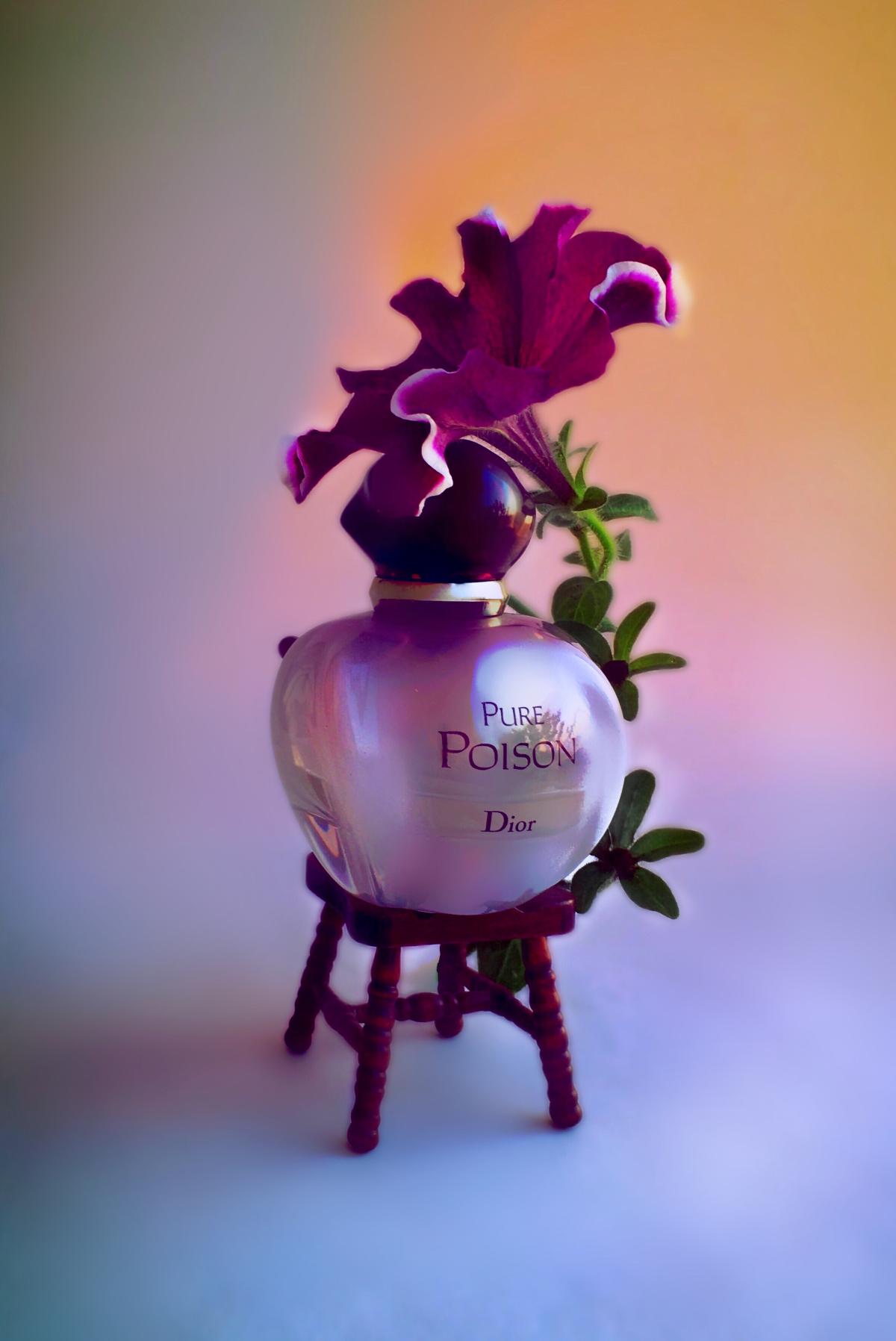 Pure Poison Dior perfume - a fragrance for women 2004