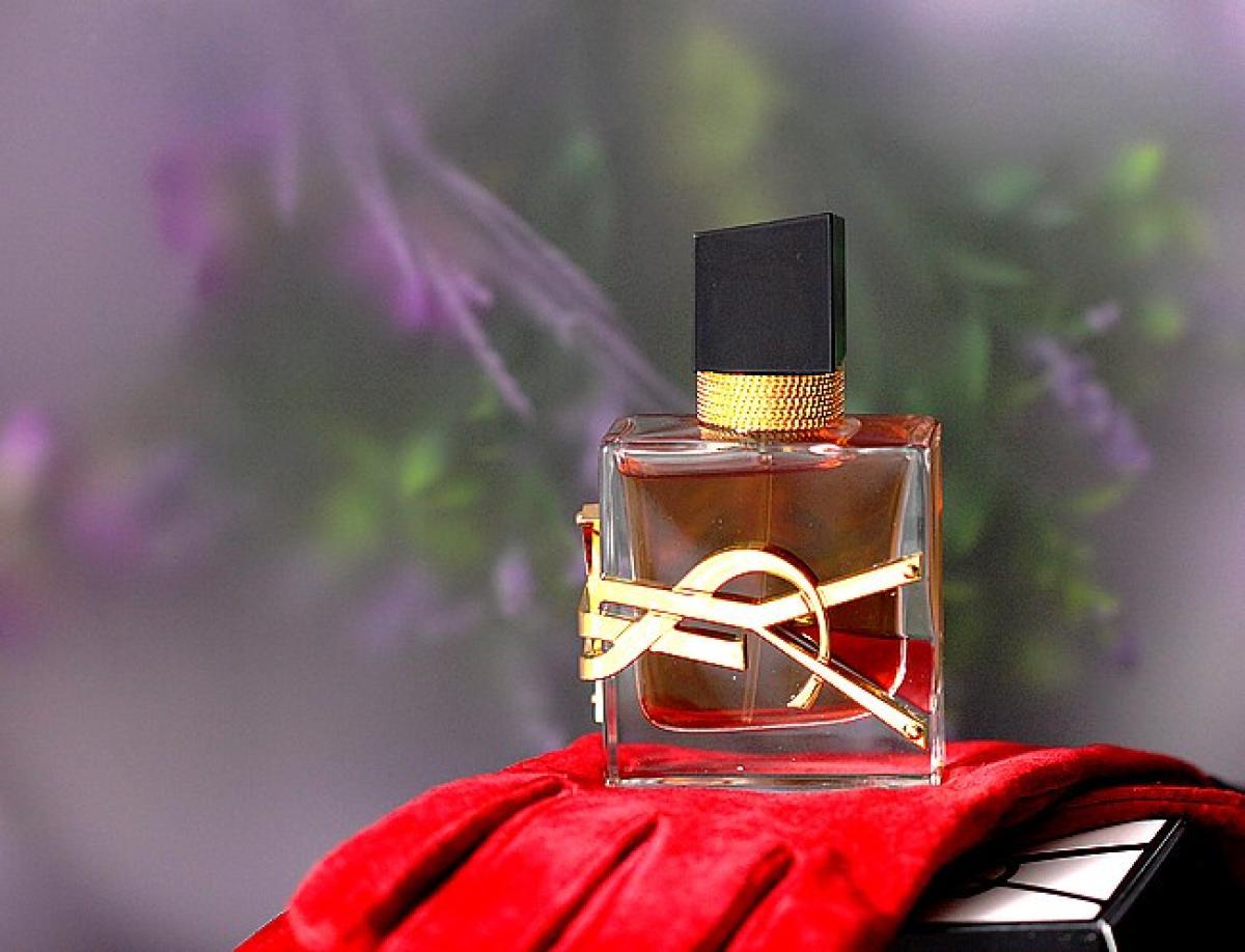 Libre Intense Yves Saint Laurent perfume - a fragrance for women 2020