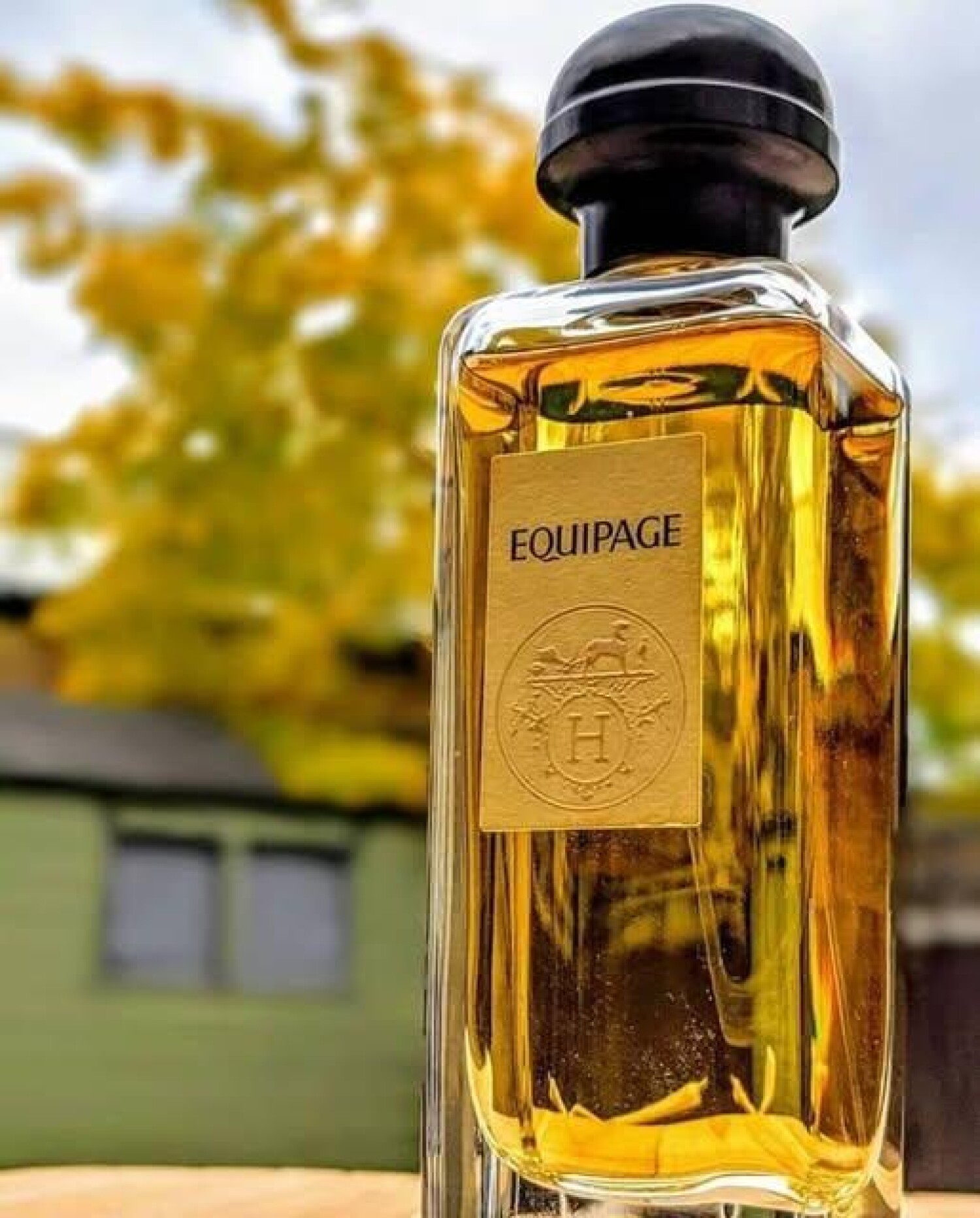 Equipage Hermès cologne - a fragrance for men 1970