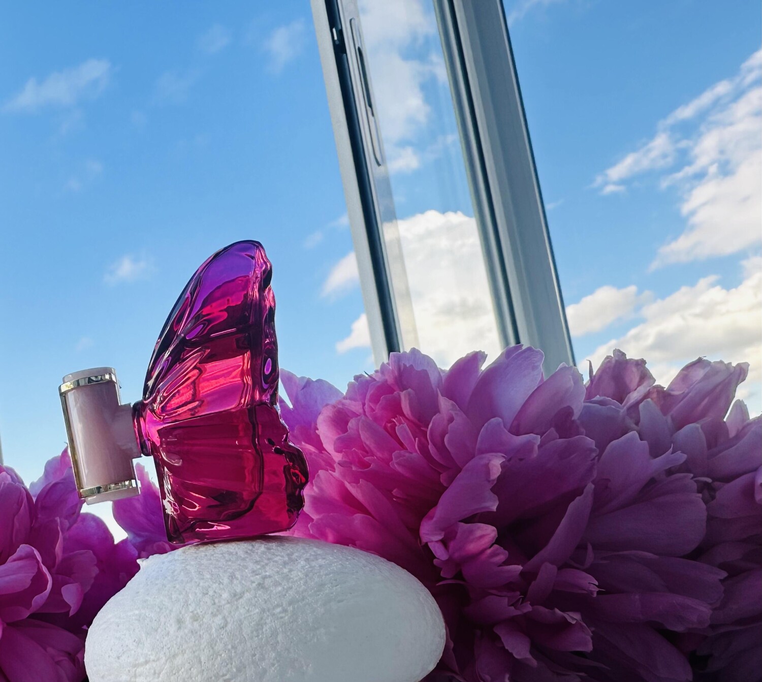 La Bomba Carolina Herrera perfume - a new fragrance for women 2025
