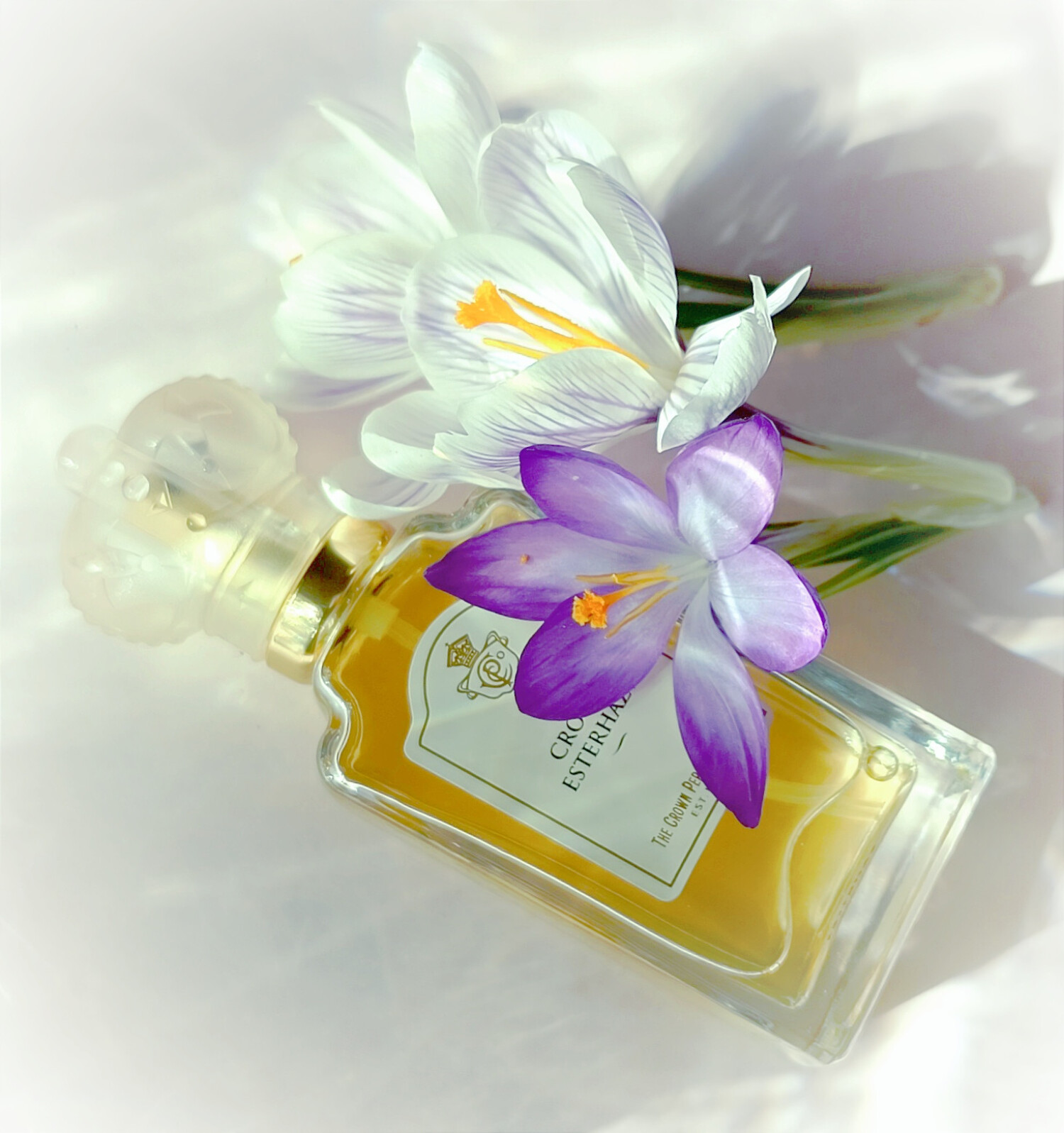 Crown Esterhazy The Crown Perfumery Co. perfume - a fragrance for women ...