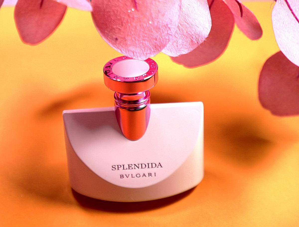 Splendida Patchouli Tentation Bvlgari perfume - a fragrance for women 2020