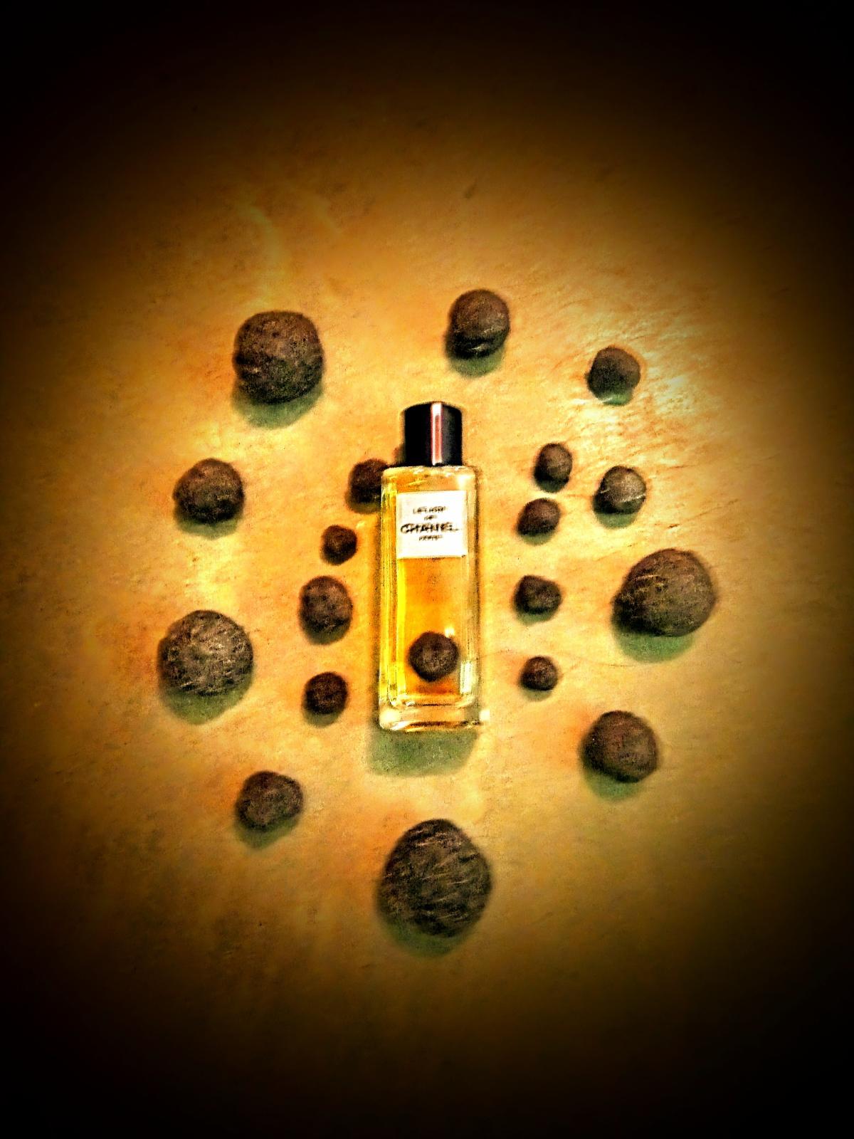 Le Lion Eau de Parfum Chanel perfume - a fragrance for women and men 2020