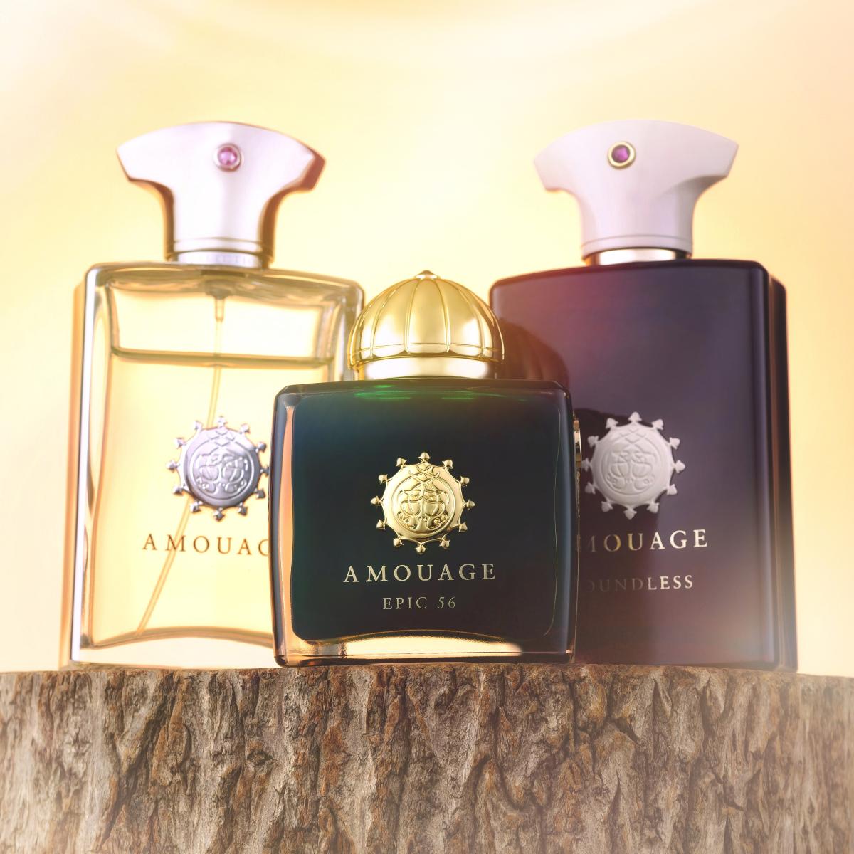 Reflection Man Amouage cologne - a fragrance for men 2006
