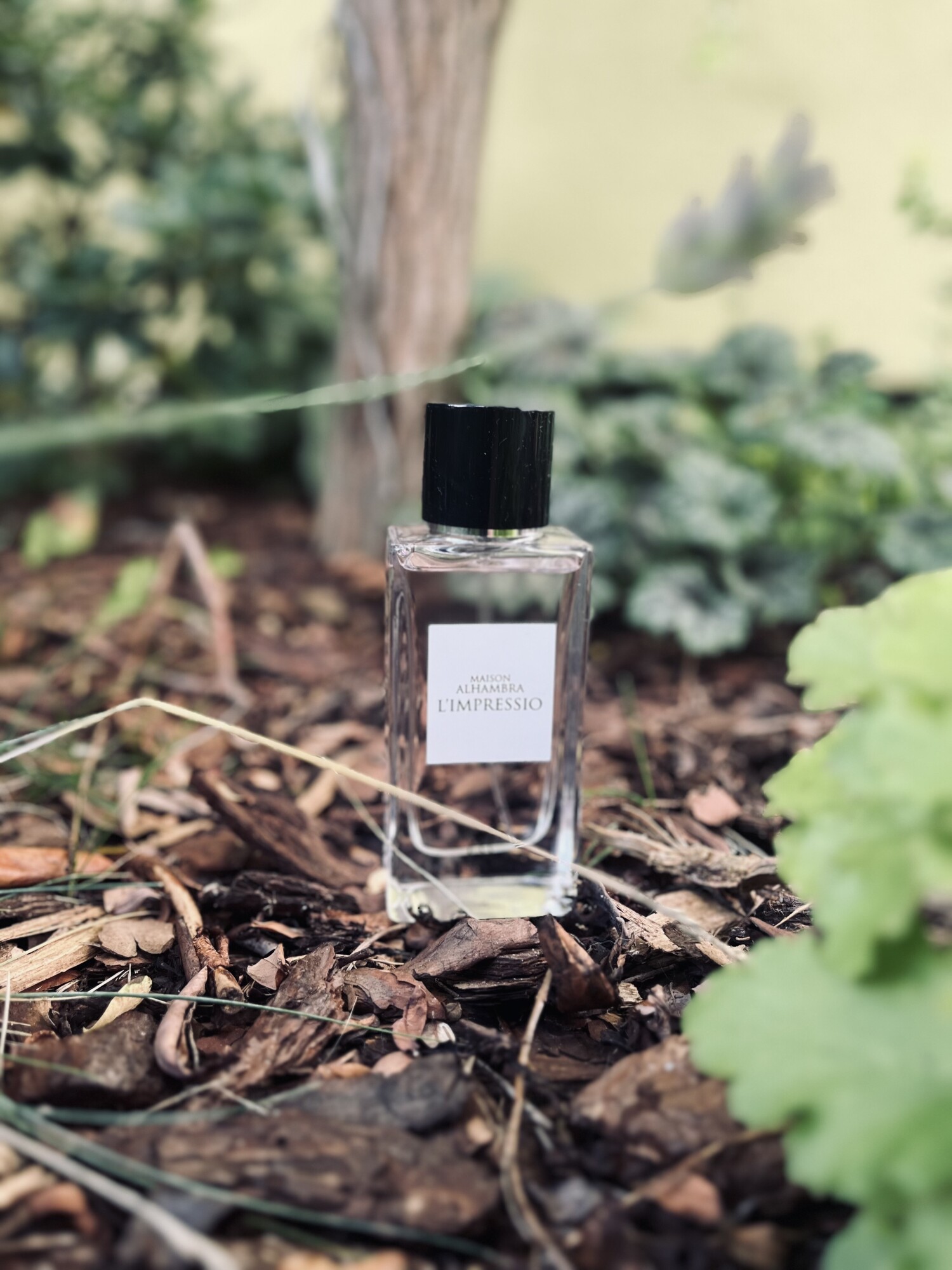 III L'Impressio Maison Alhambra perfume - a fragrance for women 2022