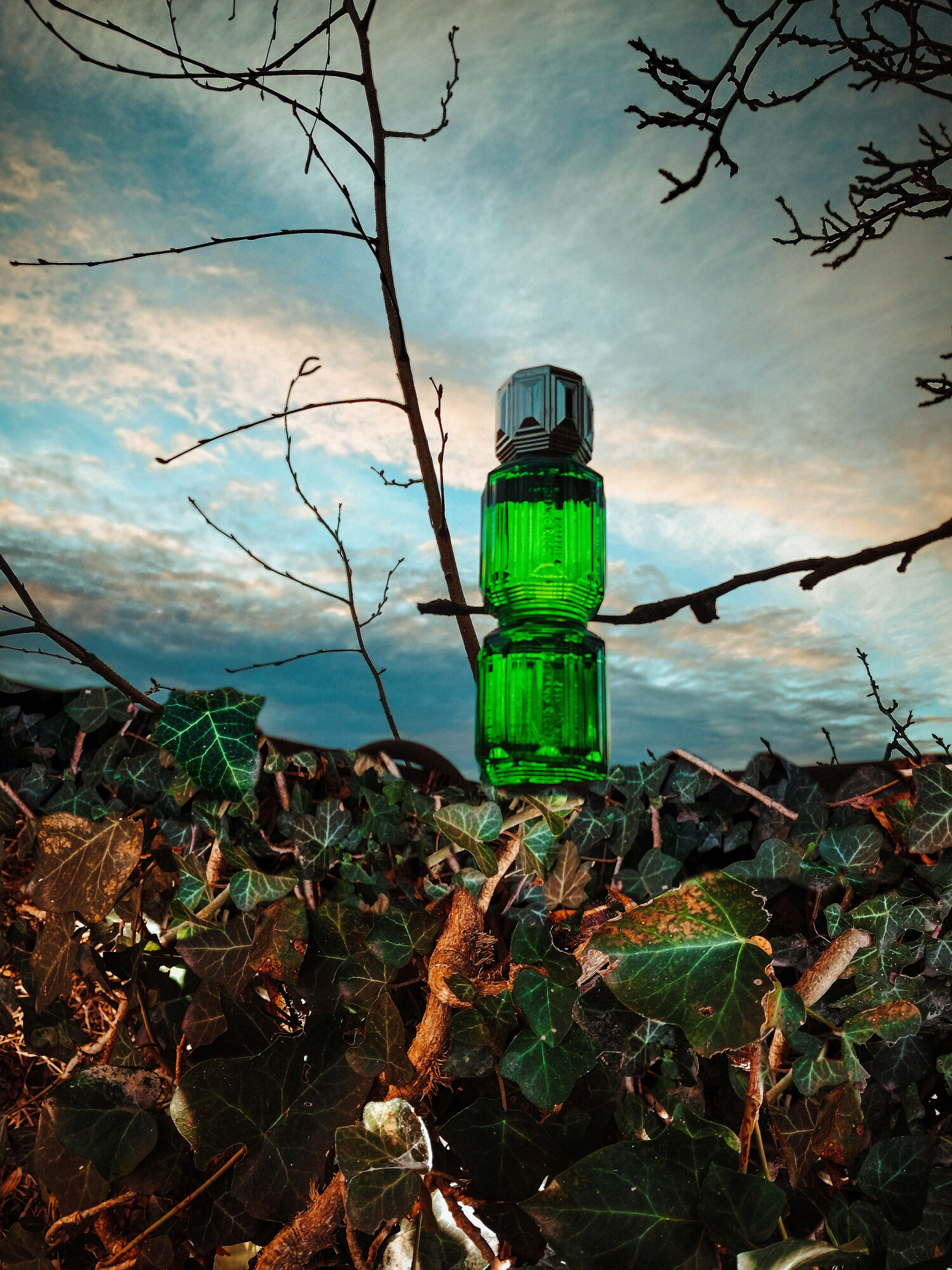 SR Eight Stefano Ricci cologne - a fragrance for men 2017