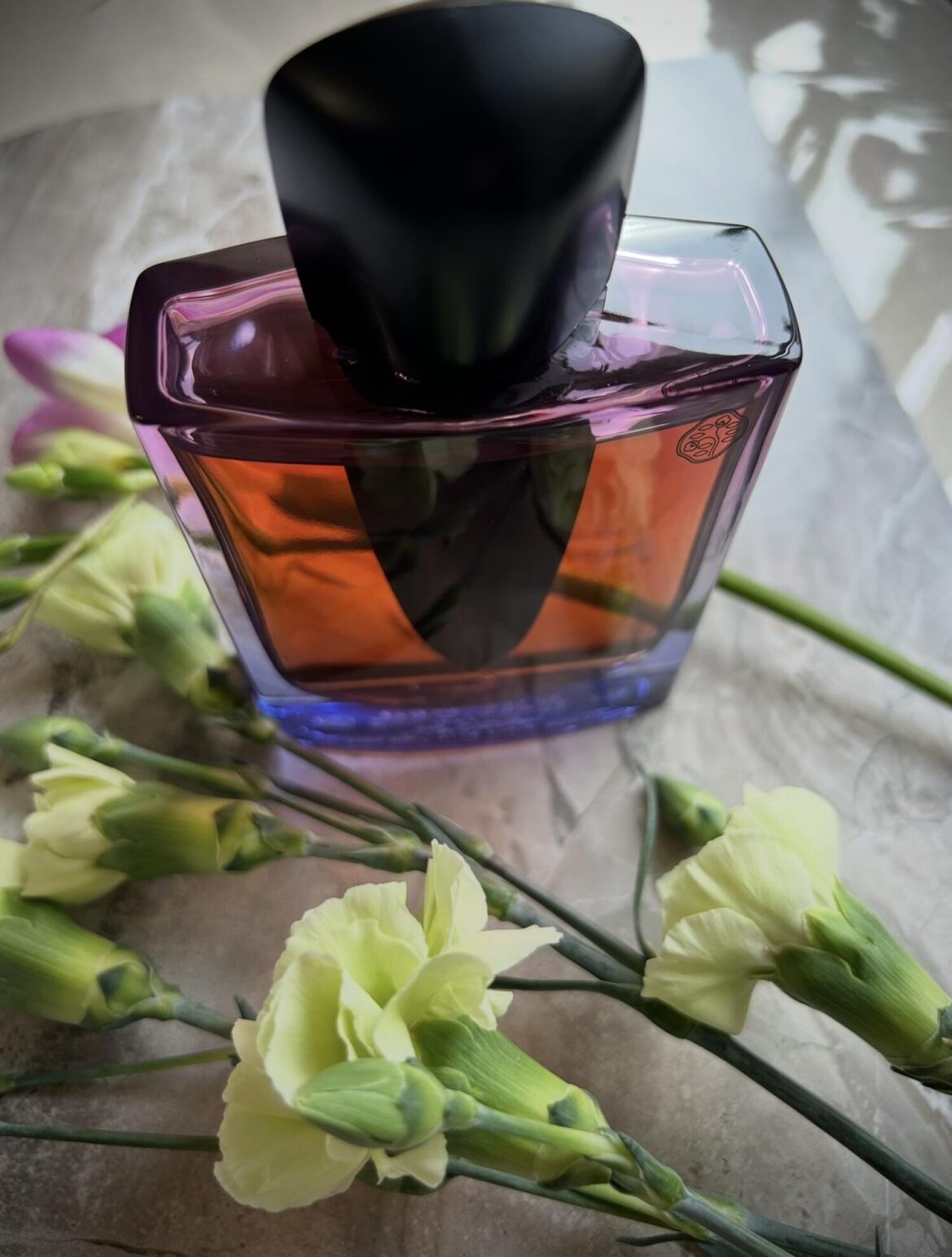 Ginza Night Shiseido perfume - a fragrance for women 2024
