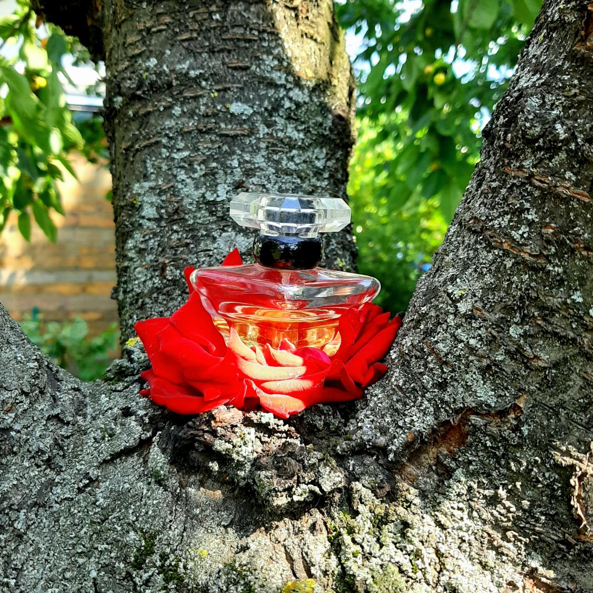 Tresor Lancome perfume - a fragrance for women 1990