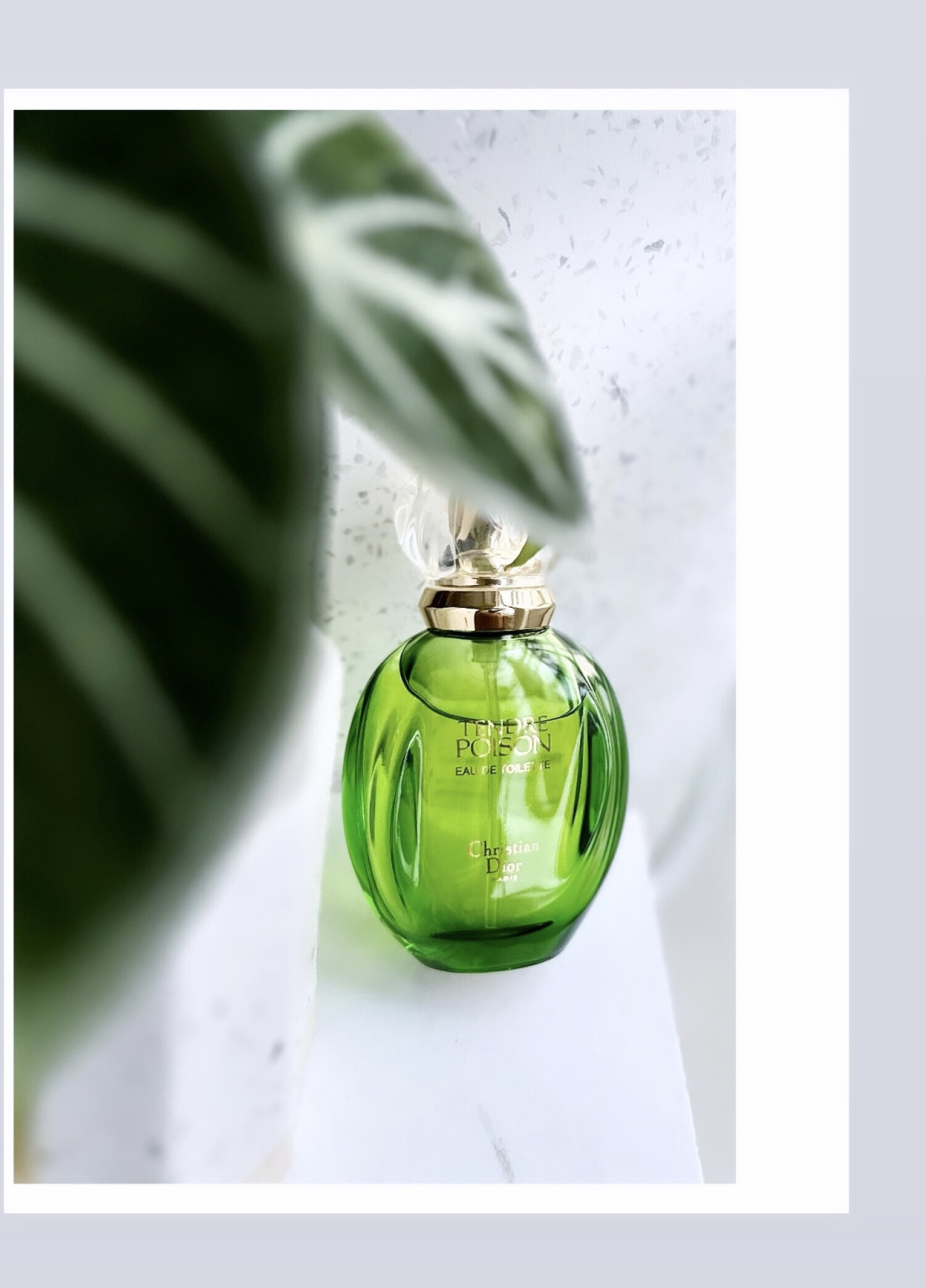 Tendre Poison Dior perfume - a fragrance for women 1994