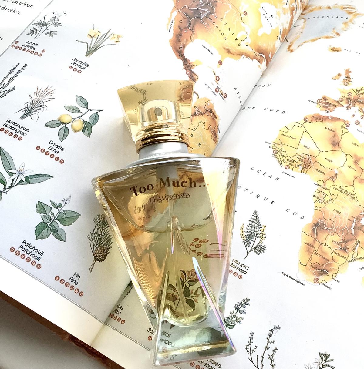 Too Much Guerlain perfume - a fragrance for women 2000