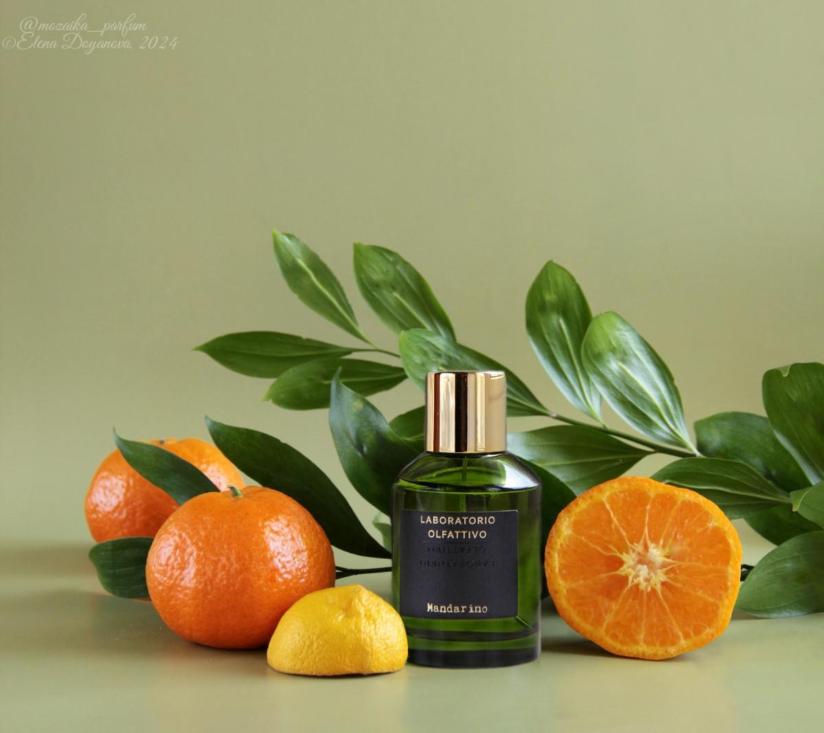 Mandarino Laboratorio Olfattivo perfume - a fragrance for women and men ...
