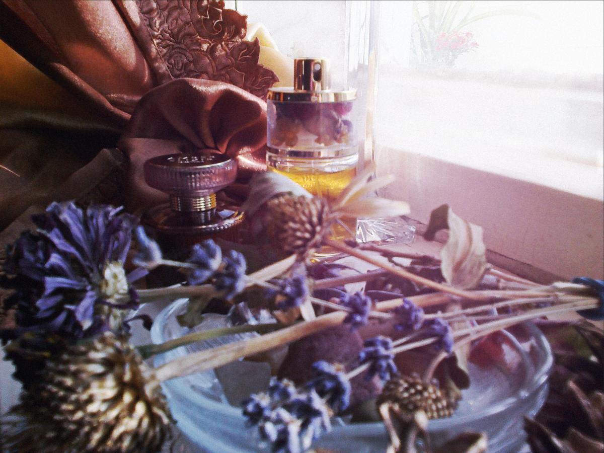 Shadow for Her Ajmal perfume - a fragrance for women 2008