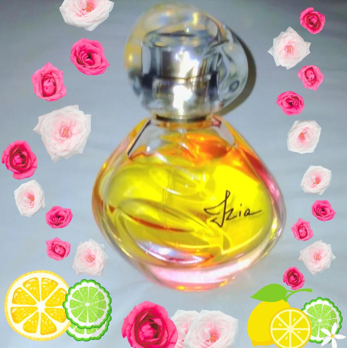 Izia Sisley perfume - a fragrance for women 2017