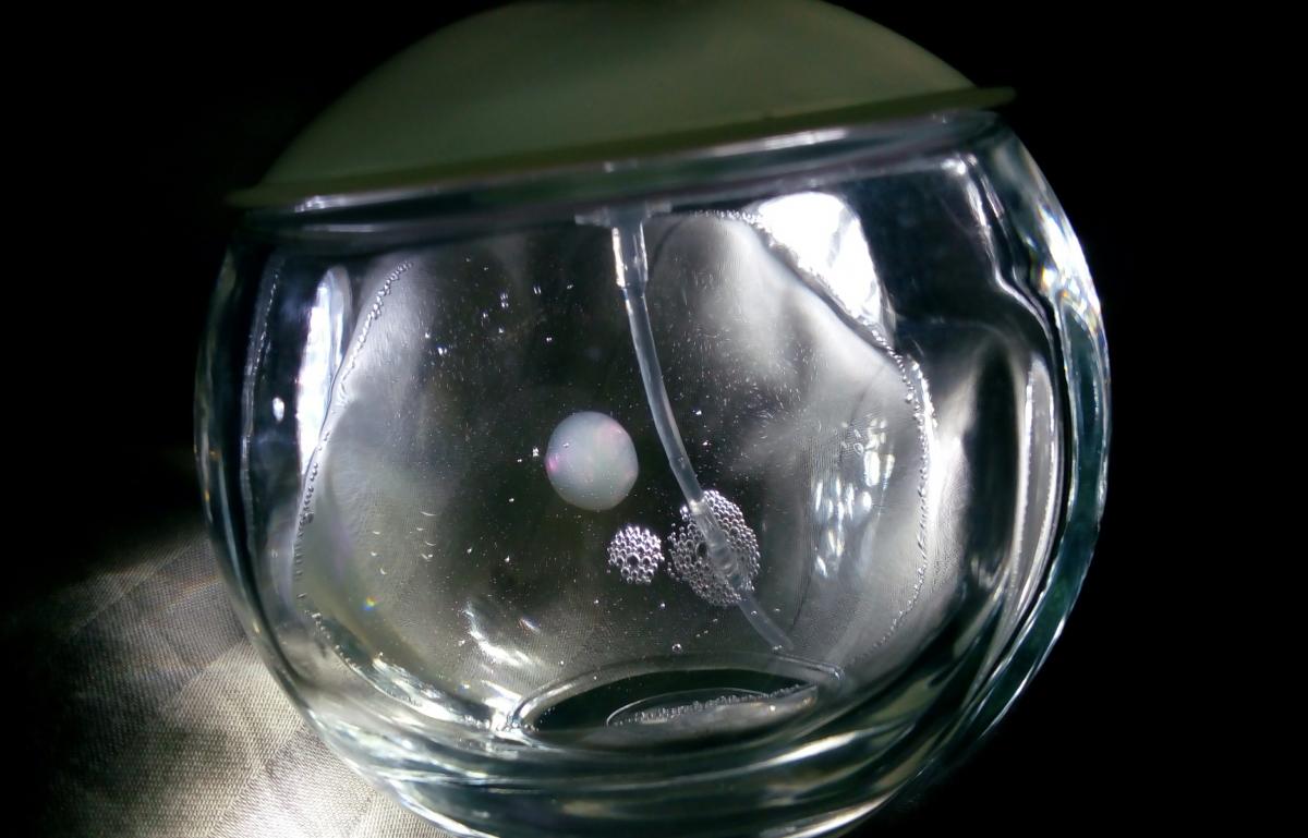 Noa Cacharel perfume - a fragrance for women 1998