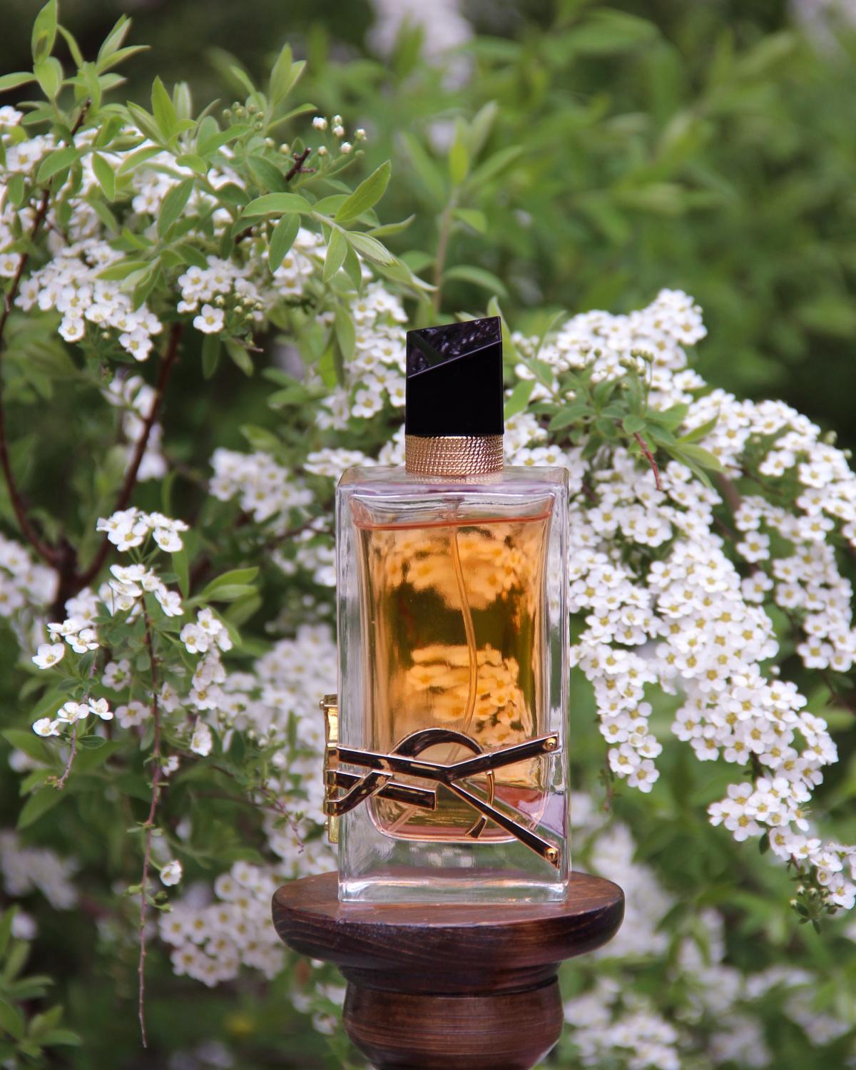 Libre Intense Yves Saint Laurent parfum - un parfum pour femme 2020