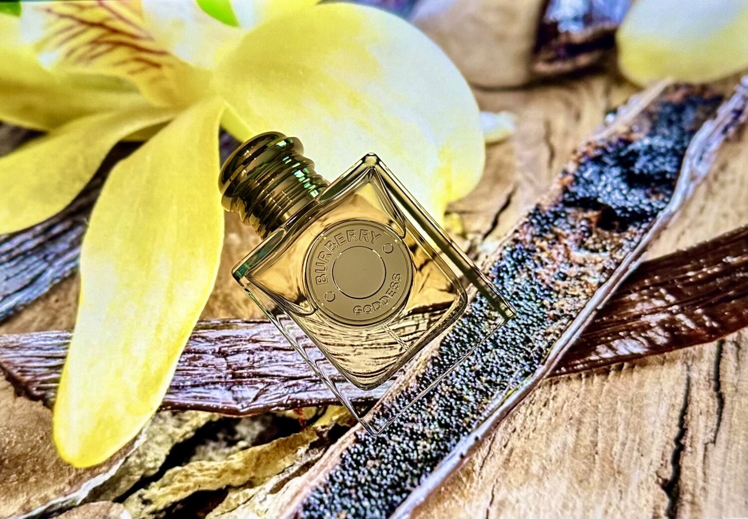 Goddess Burberry perfume - a new fragrance for women 2023