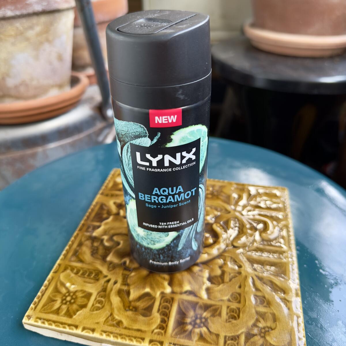 Aqua Bergamot AXE cologne - a new fragrance for men 2024