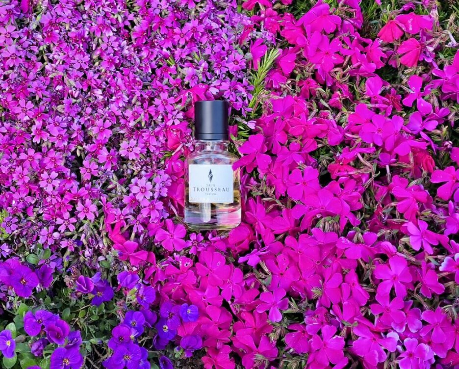 Iris Trousseau Danner & Flemming perfume - a new fragrance for women ...