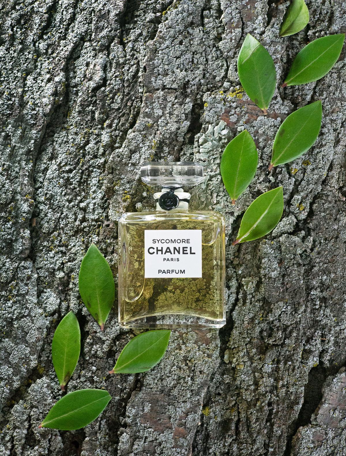 Sycomore Parfum Chanel perfume - a new fragrance for women and men 2022