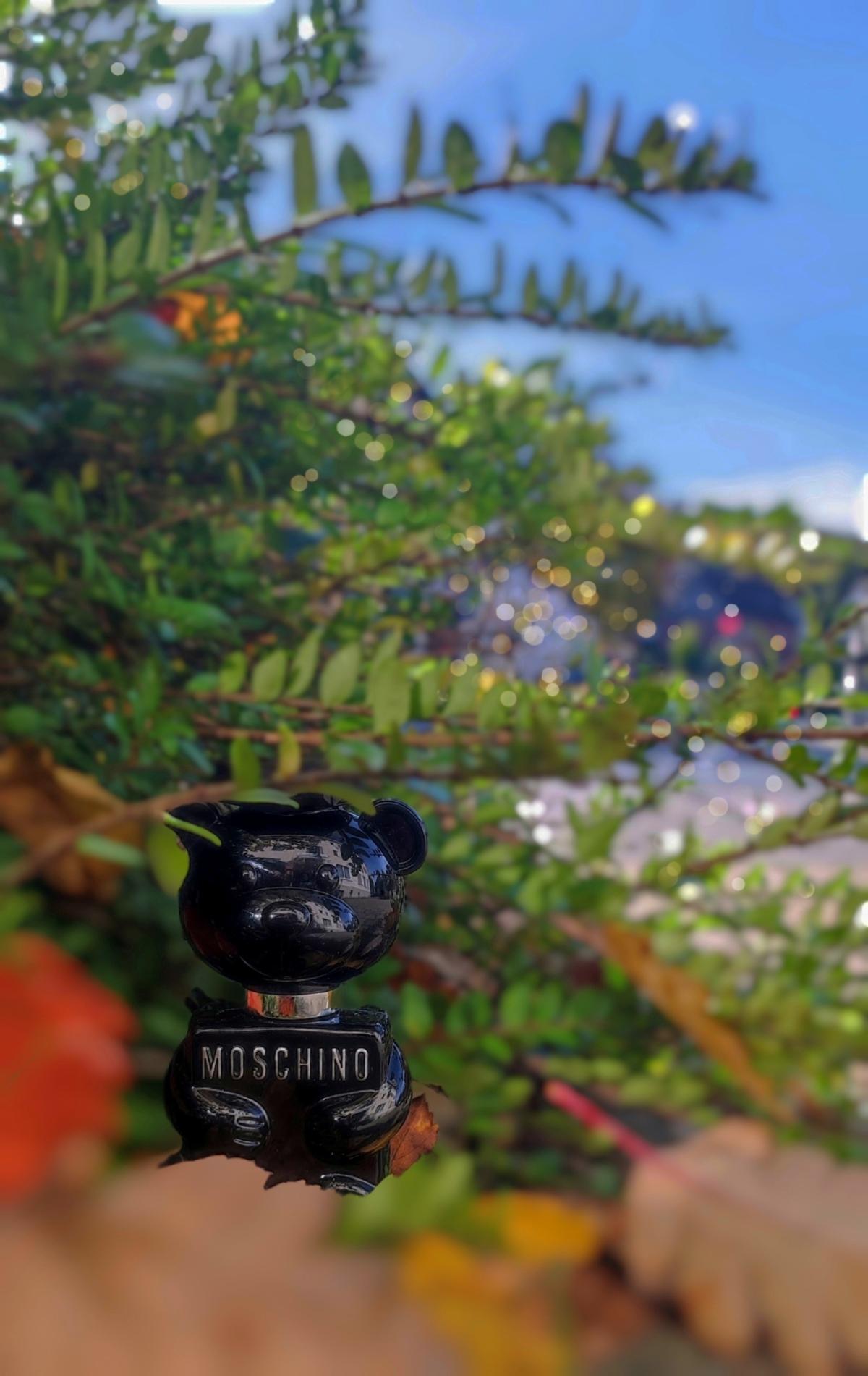 Toy Boy Moschino cologne - a fragrance for men 2019