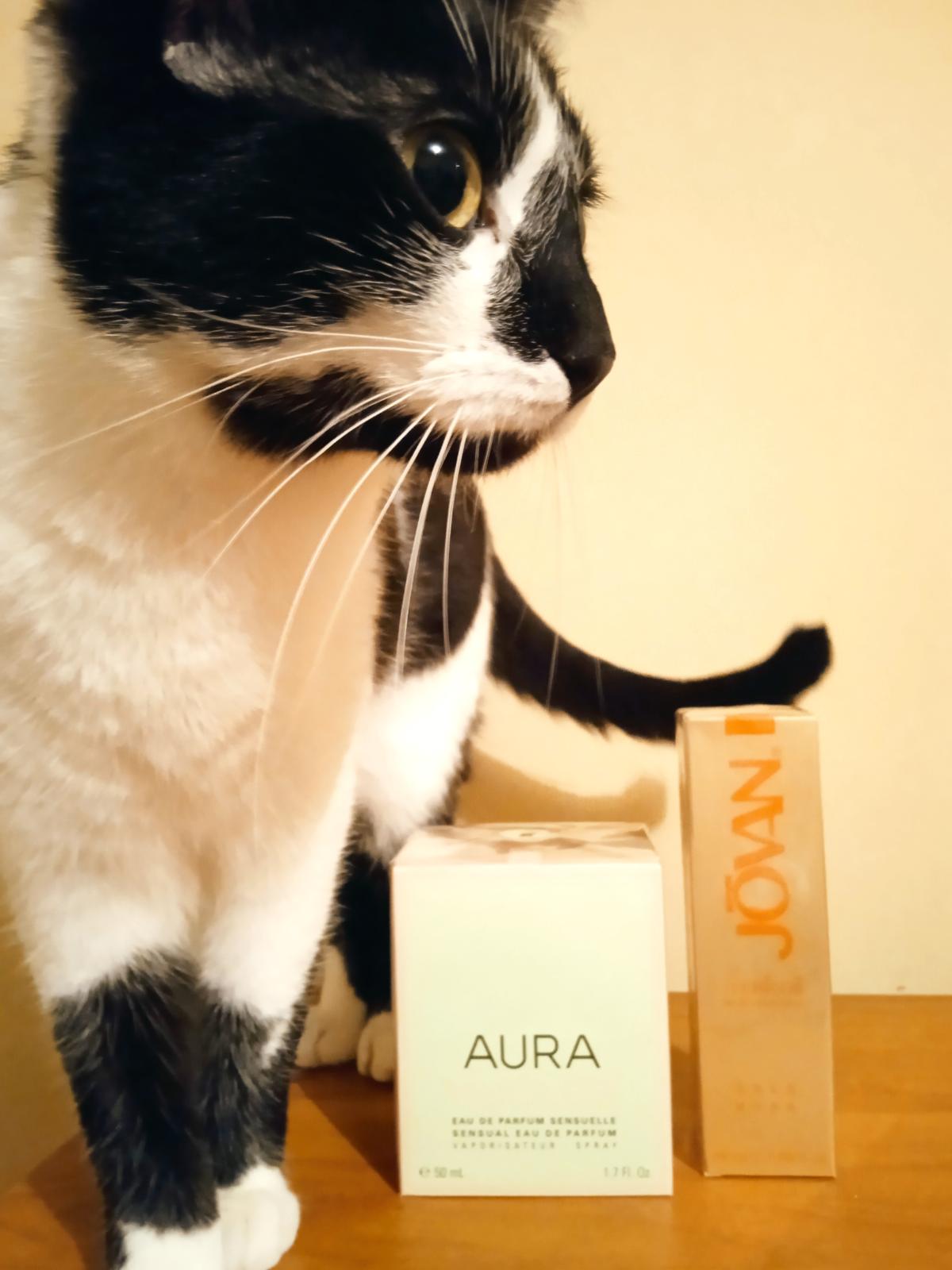 Gold Musk Jovan аромат — аромат для женщин