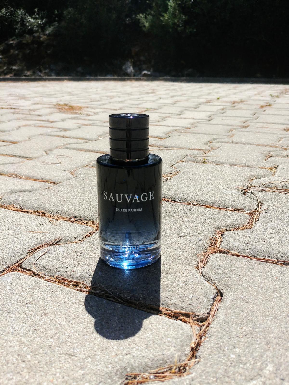 Sauvage Dior cologne - a fragrance for men 2015