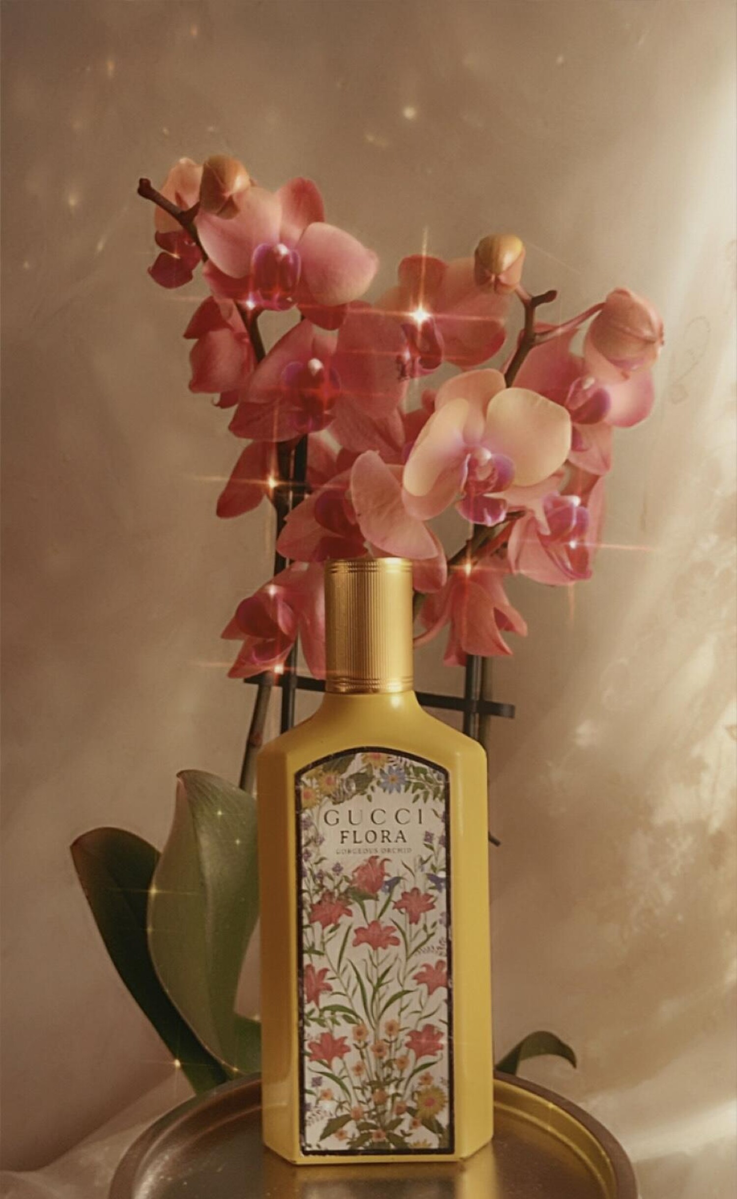 Flora Gorgeous Orchid Gucci perfume - a fragrância Feminino 2024