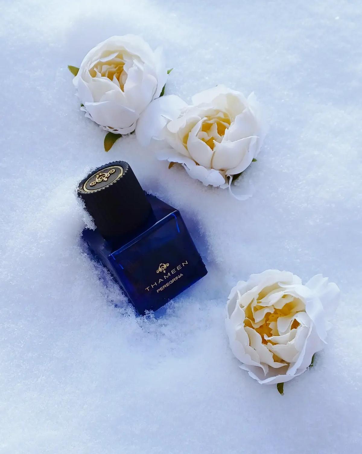 Peregrina Thameen perfume - a fragrance for women and men 2019