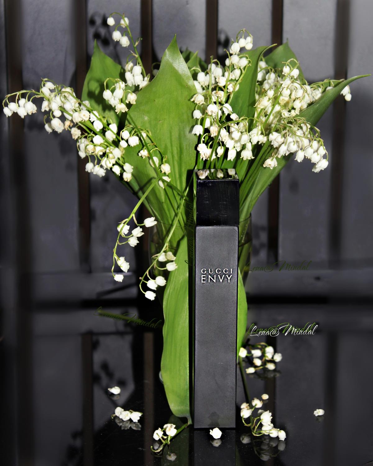 Gucci Envy Eau de Parfum Gucci perfume - a fragrance for women 1997