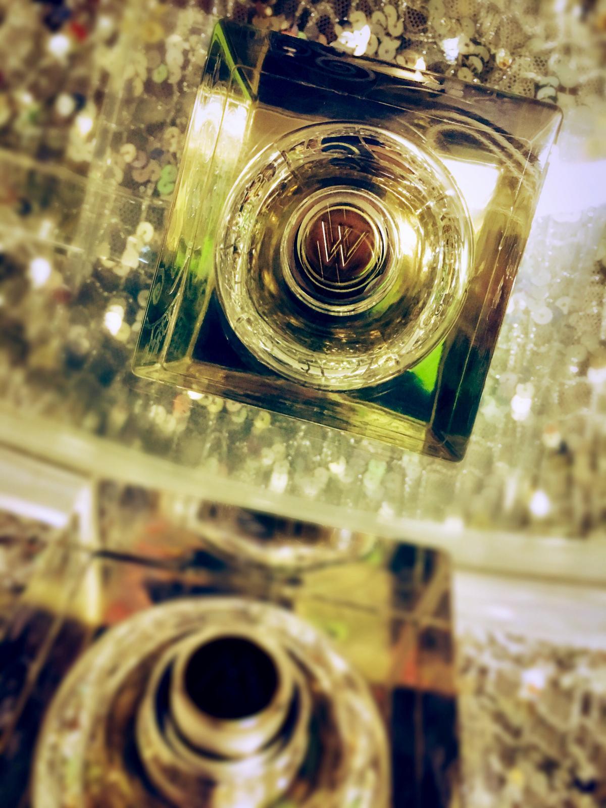 VV Platinum Roberto Verino perfume - a fragrance for women 2008