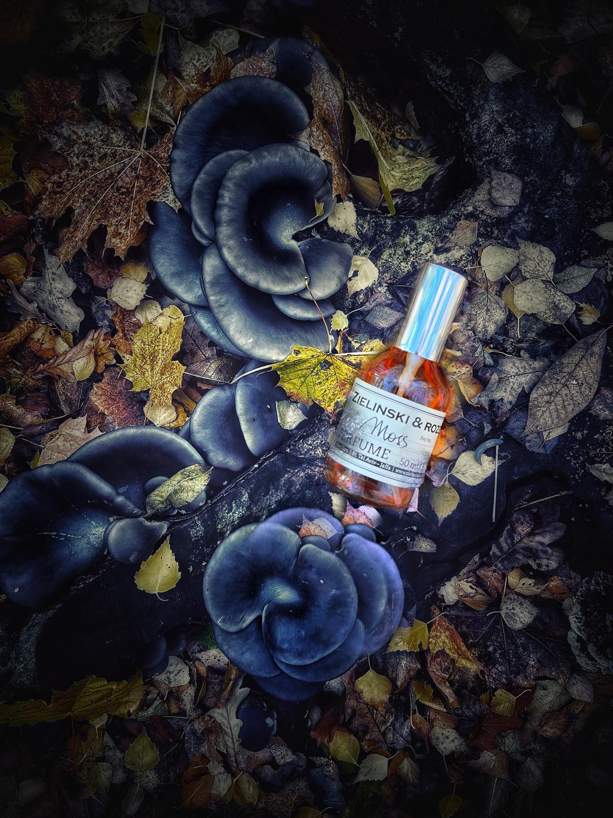 MOSS 2 Zielinski & Rozen perfume - a fragrance for women and men