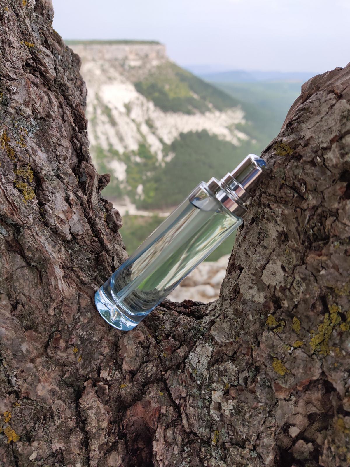 Innocent Mugler perfume - a fragrance for women 1998