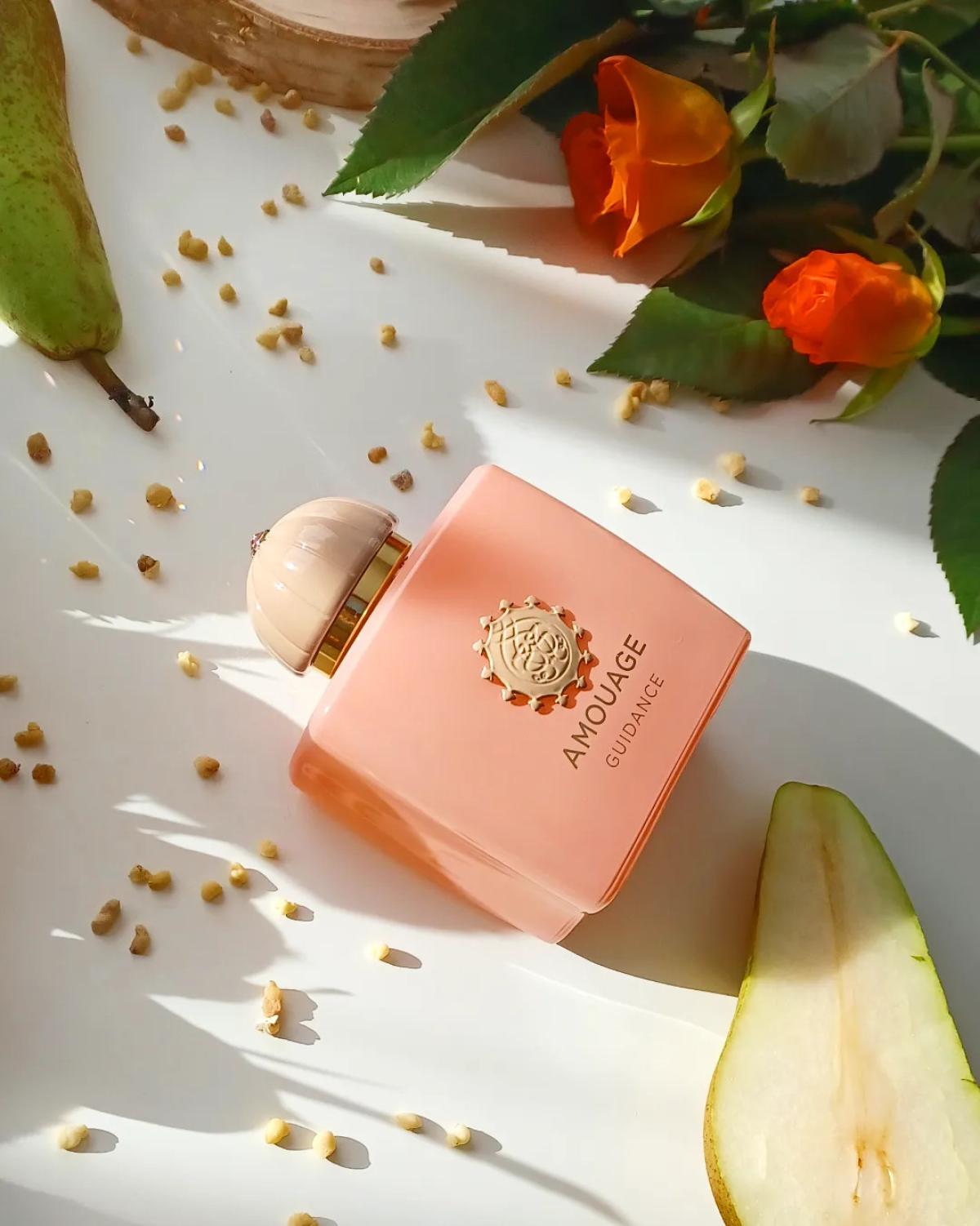 Guidance Amouage perfume - a new fragrance for women and men 2023