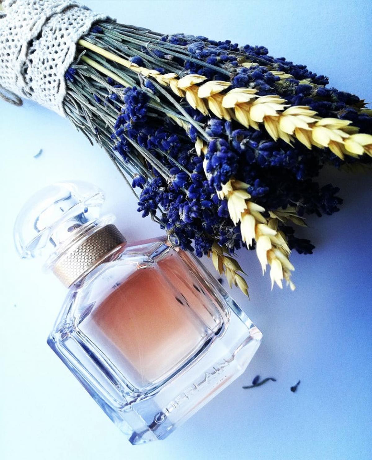 Mon Guerlain Guerlain perfume - a fragrance for women 2017