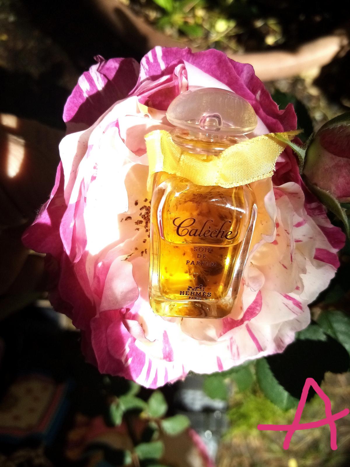 Caleche Hermès perfume - a fragrance for women 1961