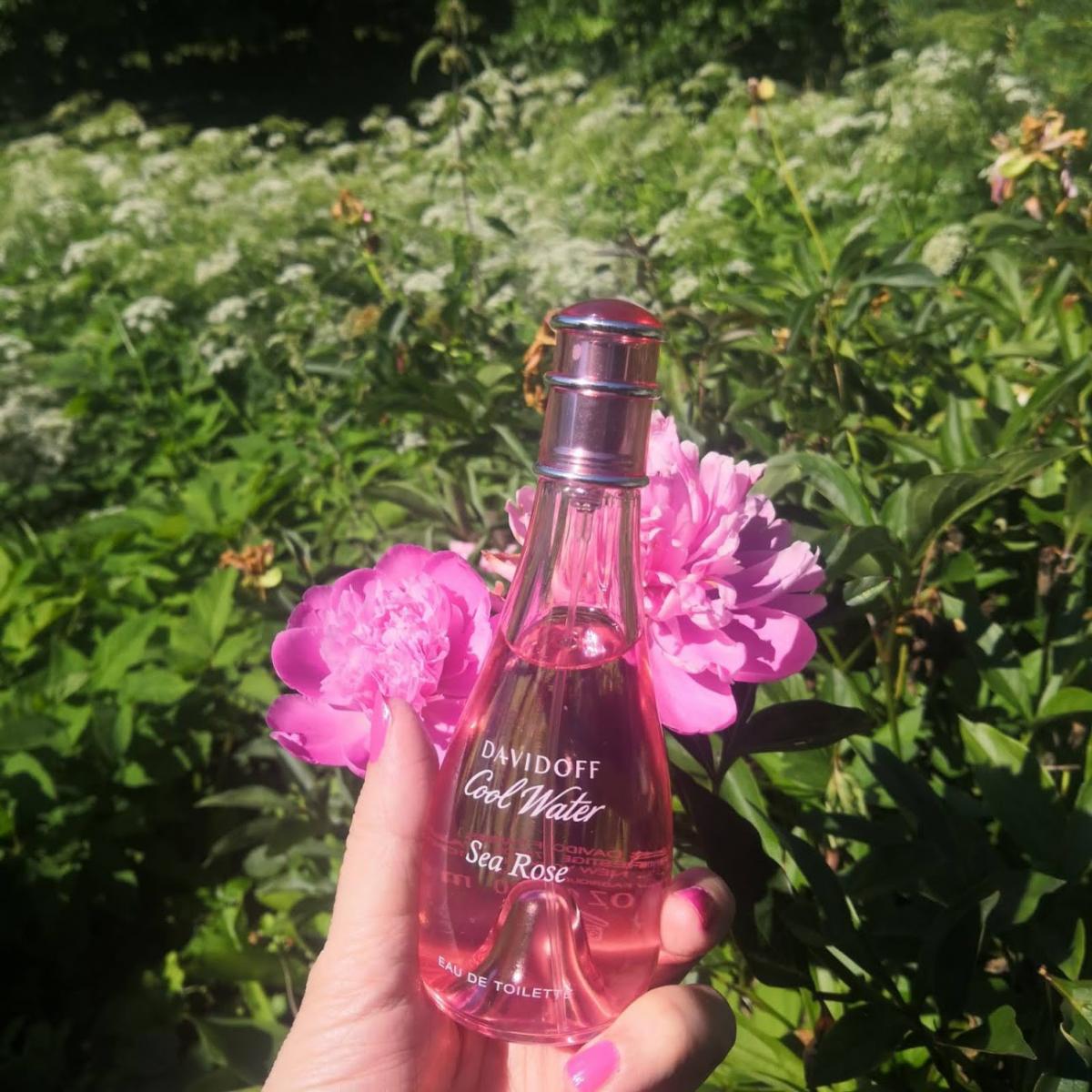 Cool Water Sea Rose Davidoff perfume - a fragrance for women 2013