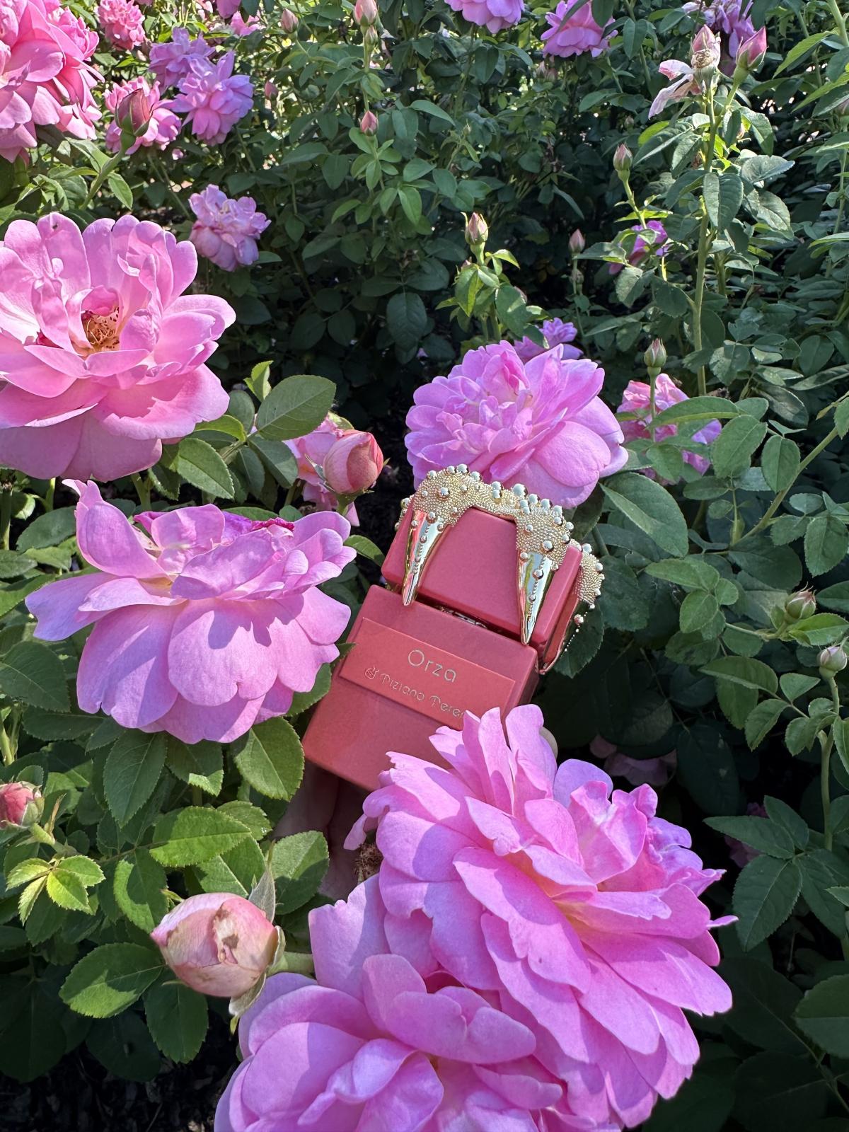 Orza Tiziana Terenzi perfume - a fragrance for women and men 2020