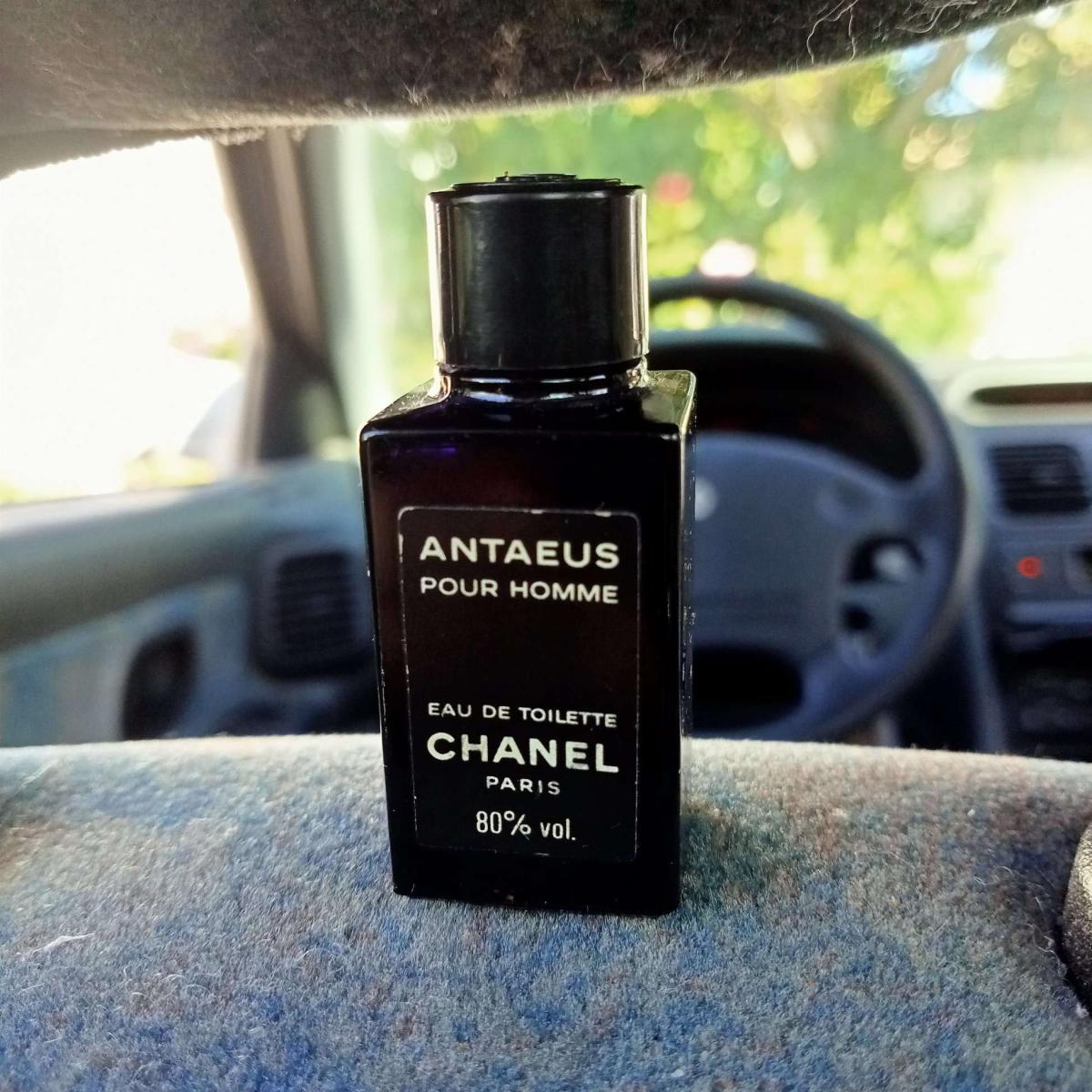 Antaeus Chanel cologne - a fragrance for men 1981