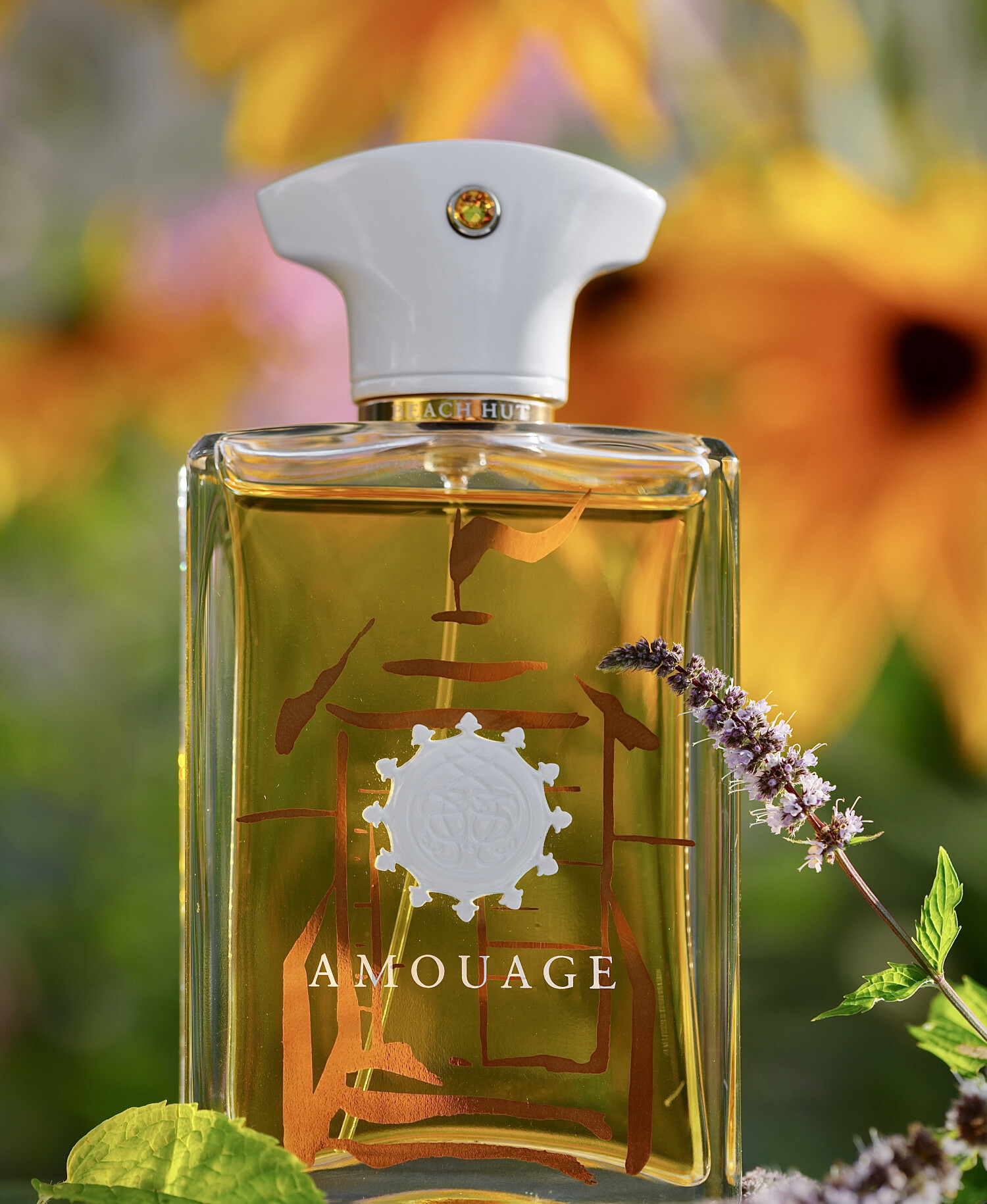 Beach Hut Man Amouage cologne - a fragrance for men 2017