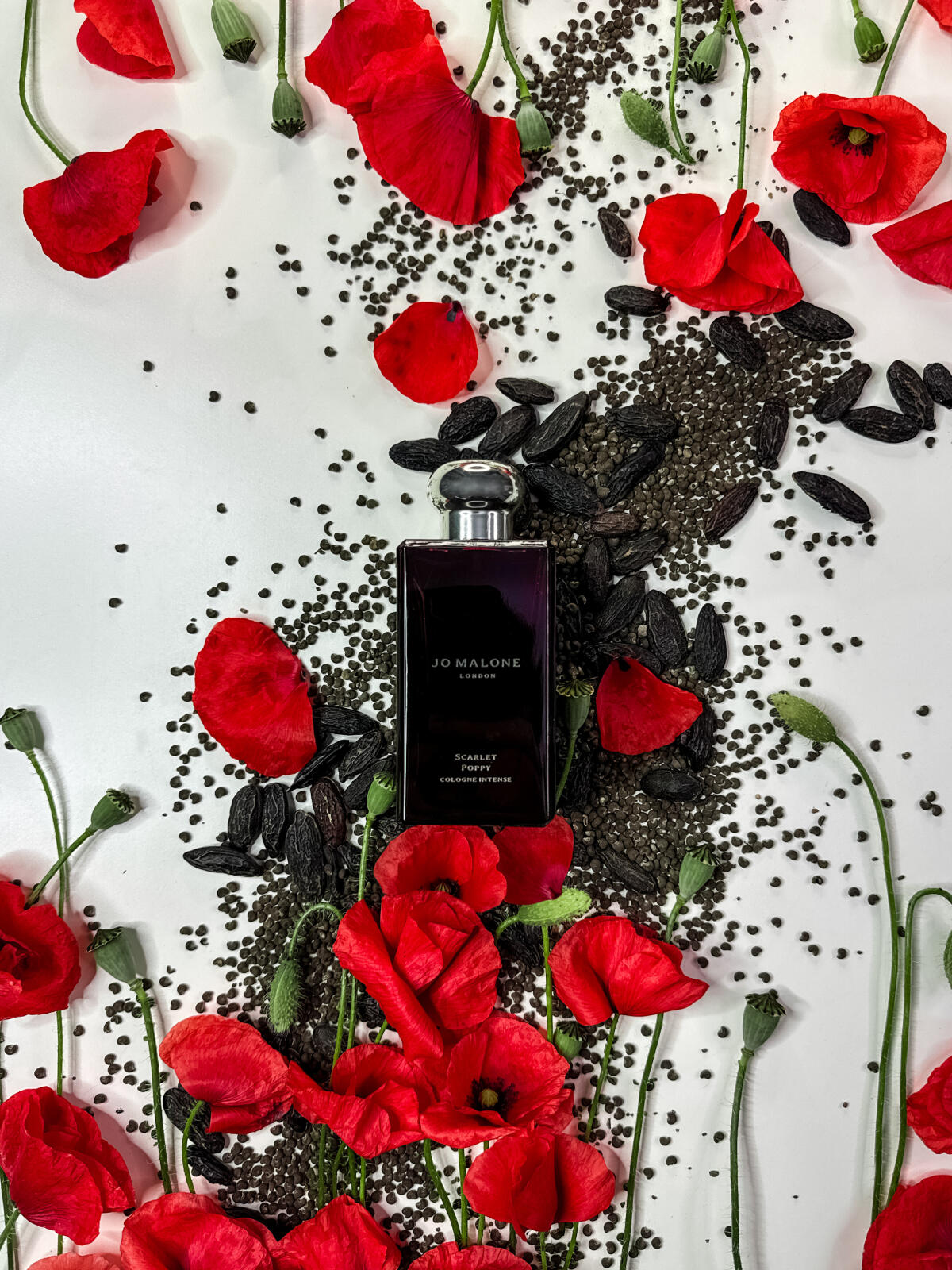Scarlet Poppy Cologne Intense Jo Malone London perfume - a fragrance ...