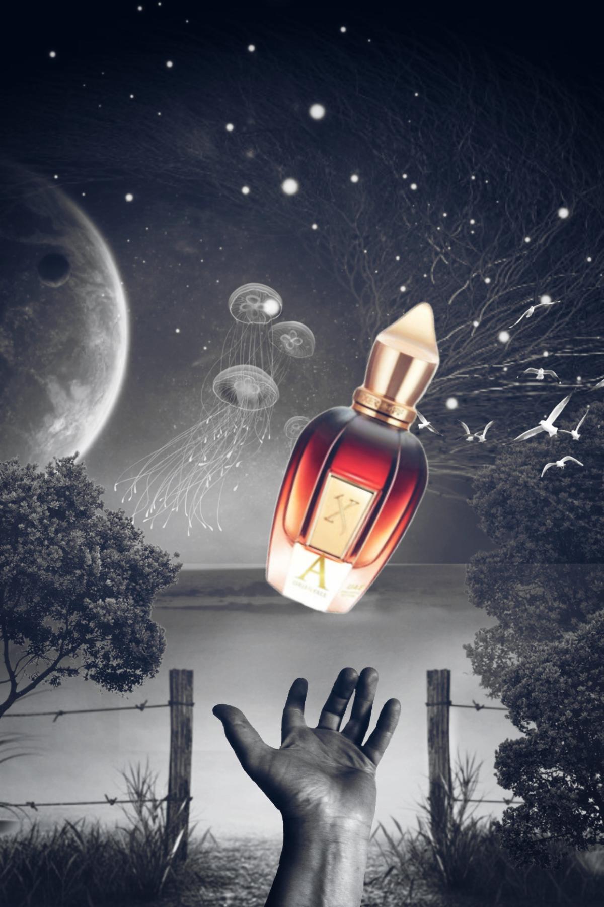 Alexandria II Xerjoff perfume - a fragrance for women and men 2012